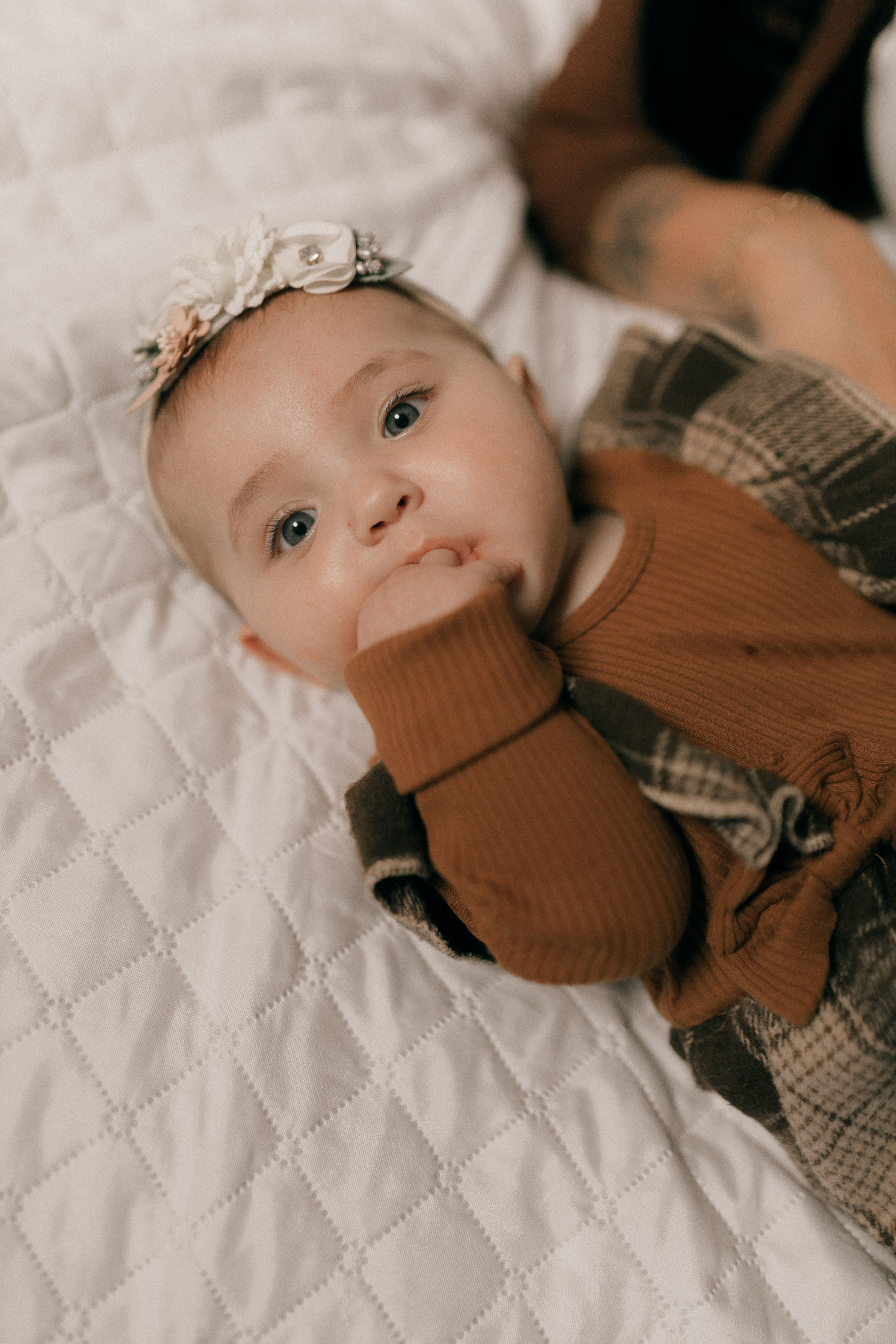 20.000+ Plaid Bible Bilder und Fotos · Kostenlos Downloaden · Pexels ...