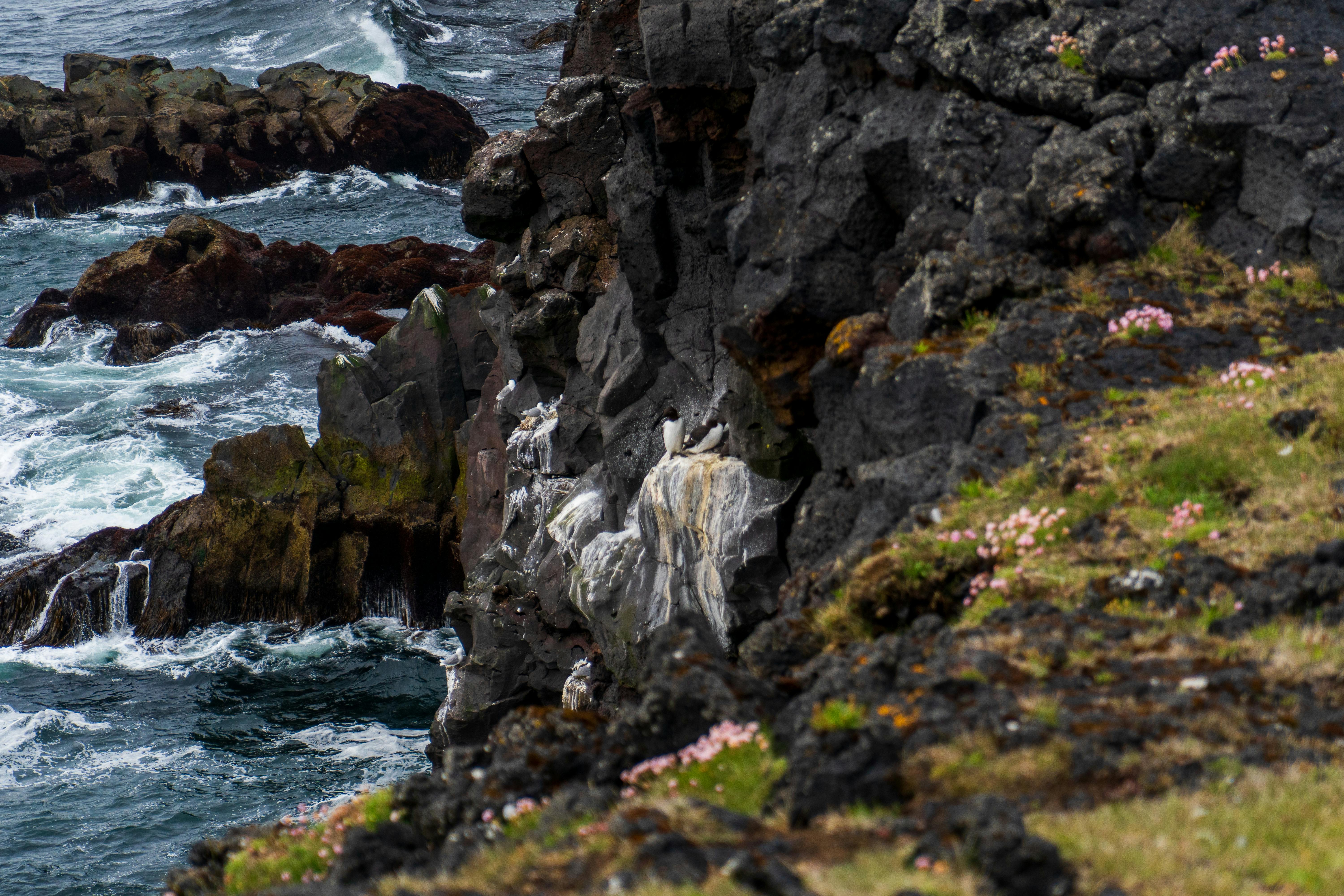 Waves+S Photos, Download The BEST Free Waves+S Stock Photos & HD Images