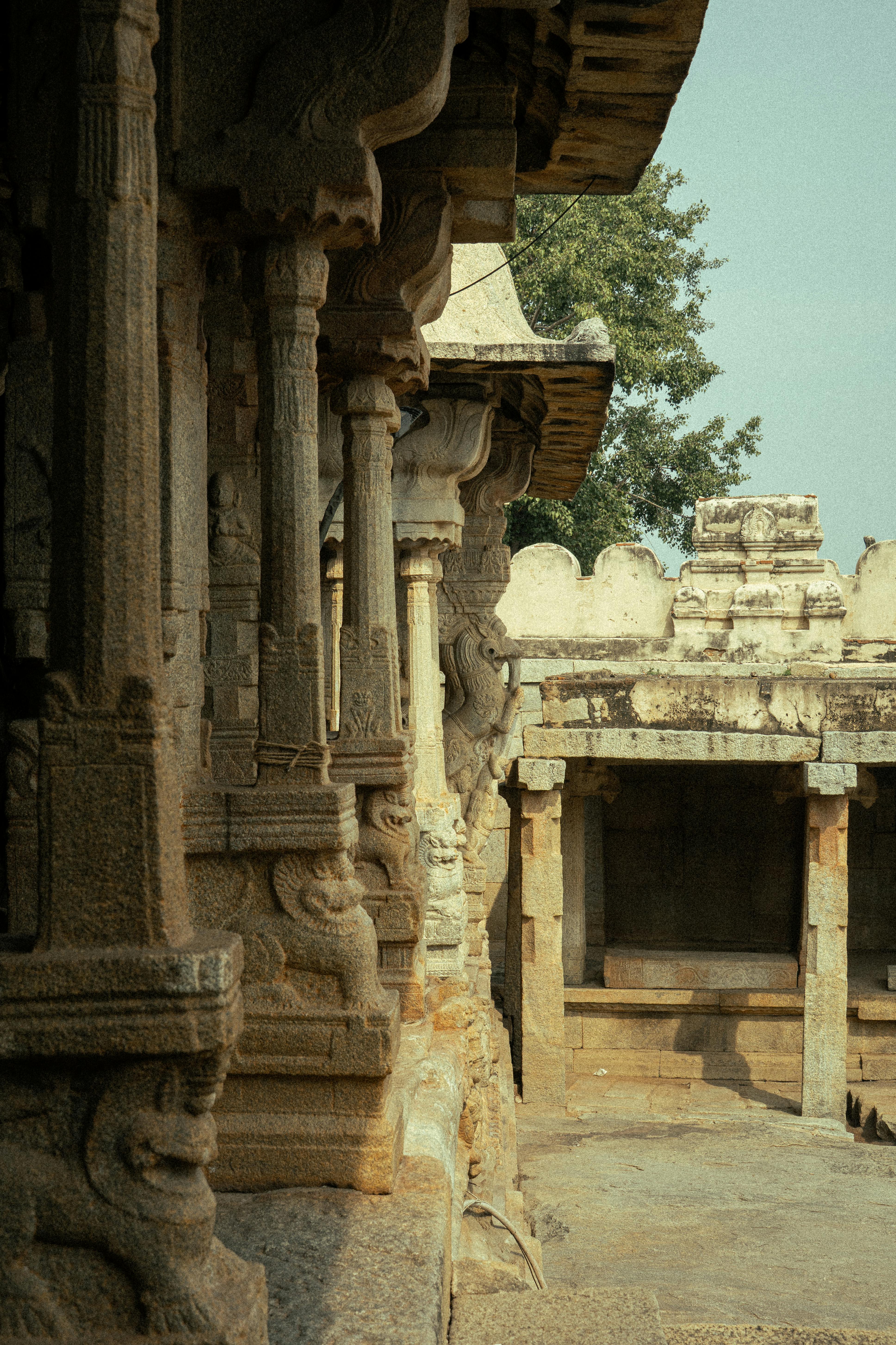 20,000+张最精彩的“Jovencitos+gay+18+años+videos+xnnx”图片 · 100%免费下载 · Pexels素材图片