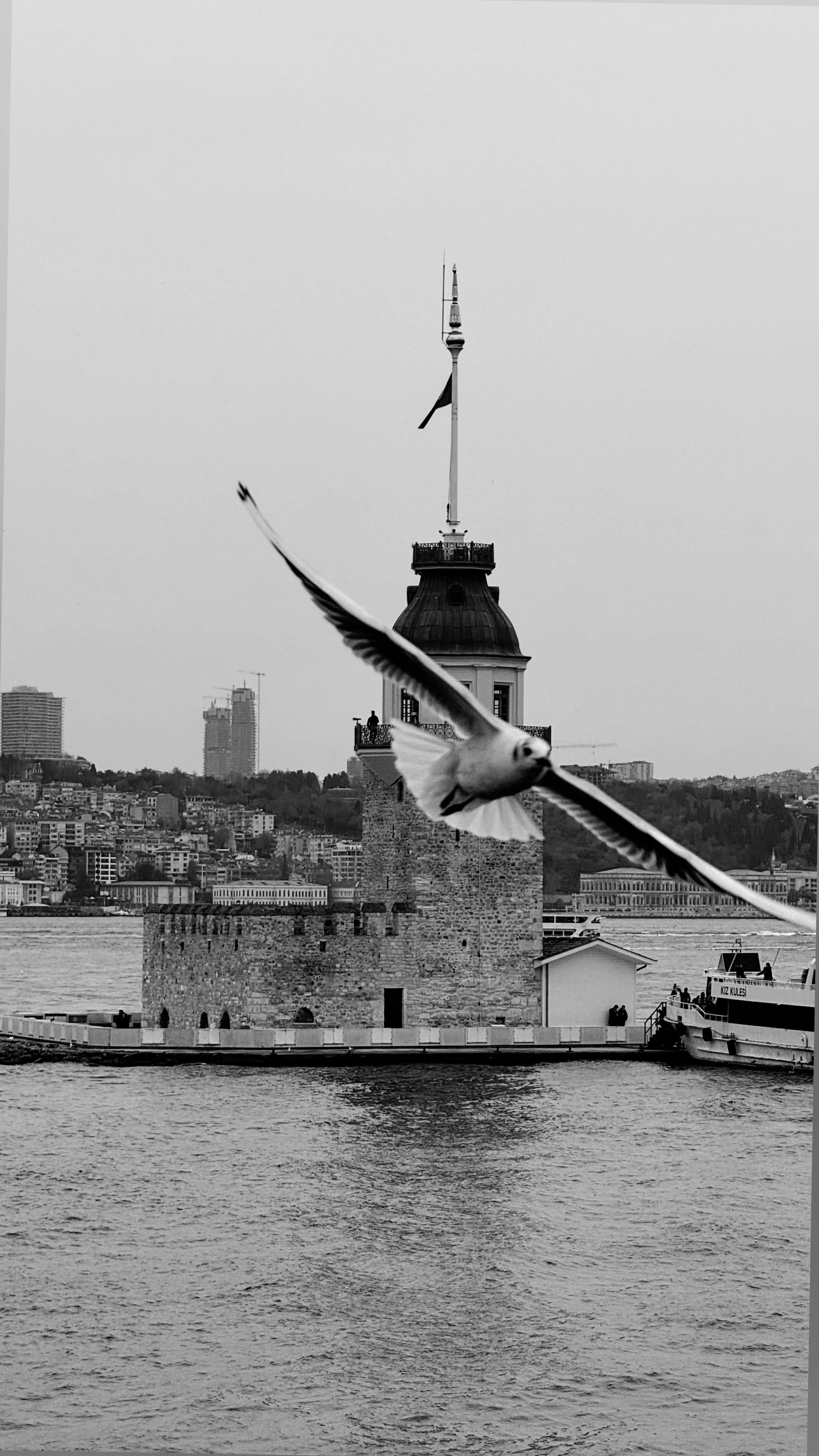 Zootopia+2+Site:1337x.To Photos, Download The BEST Free Zootopia+2+Site ...