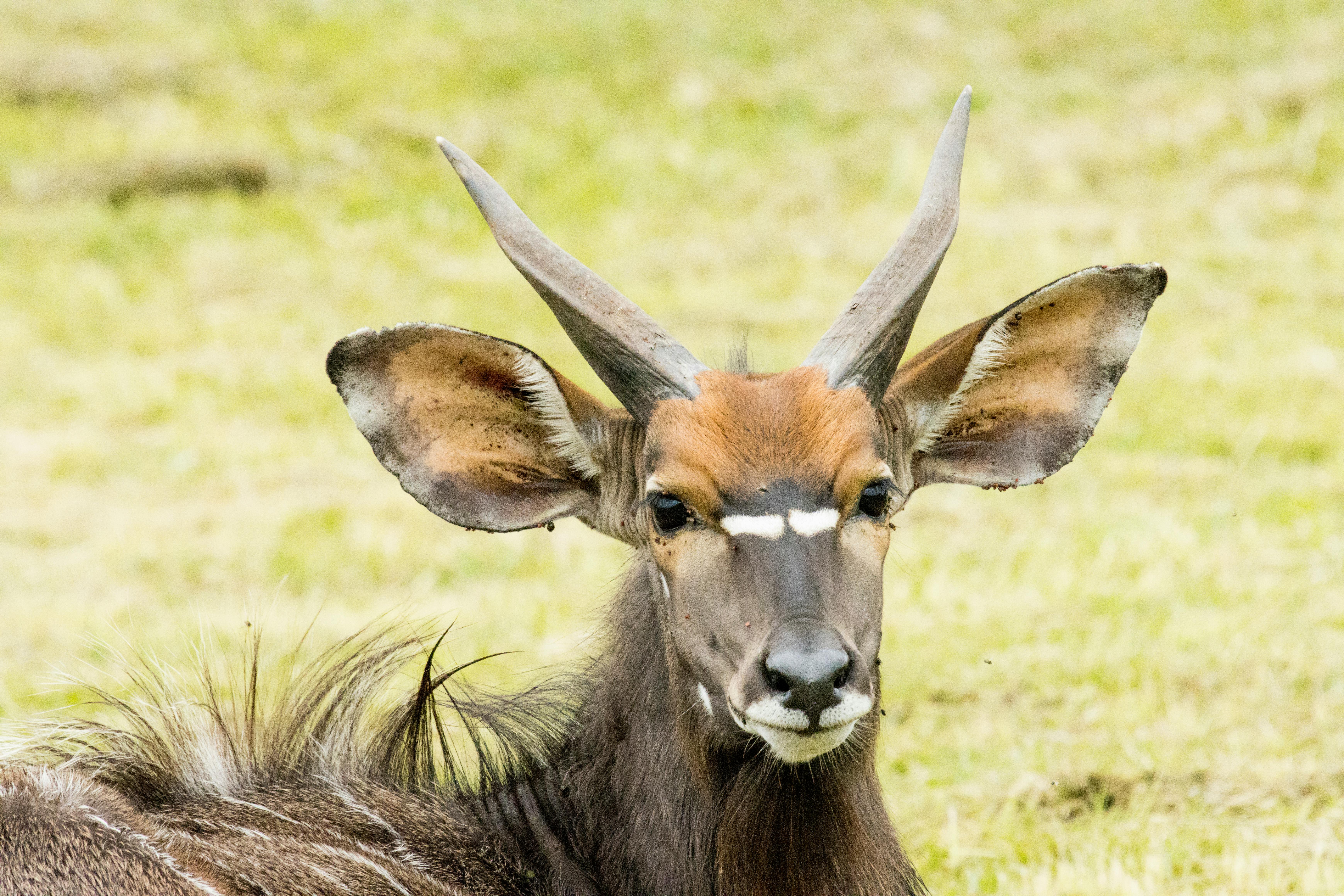 Generic Face Photos, Download The BEST Free Generic Face Stock Photos ...