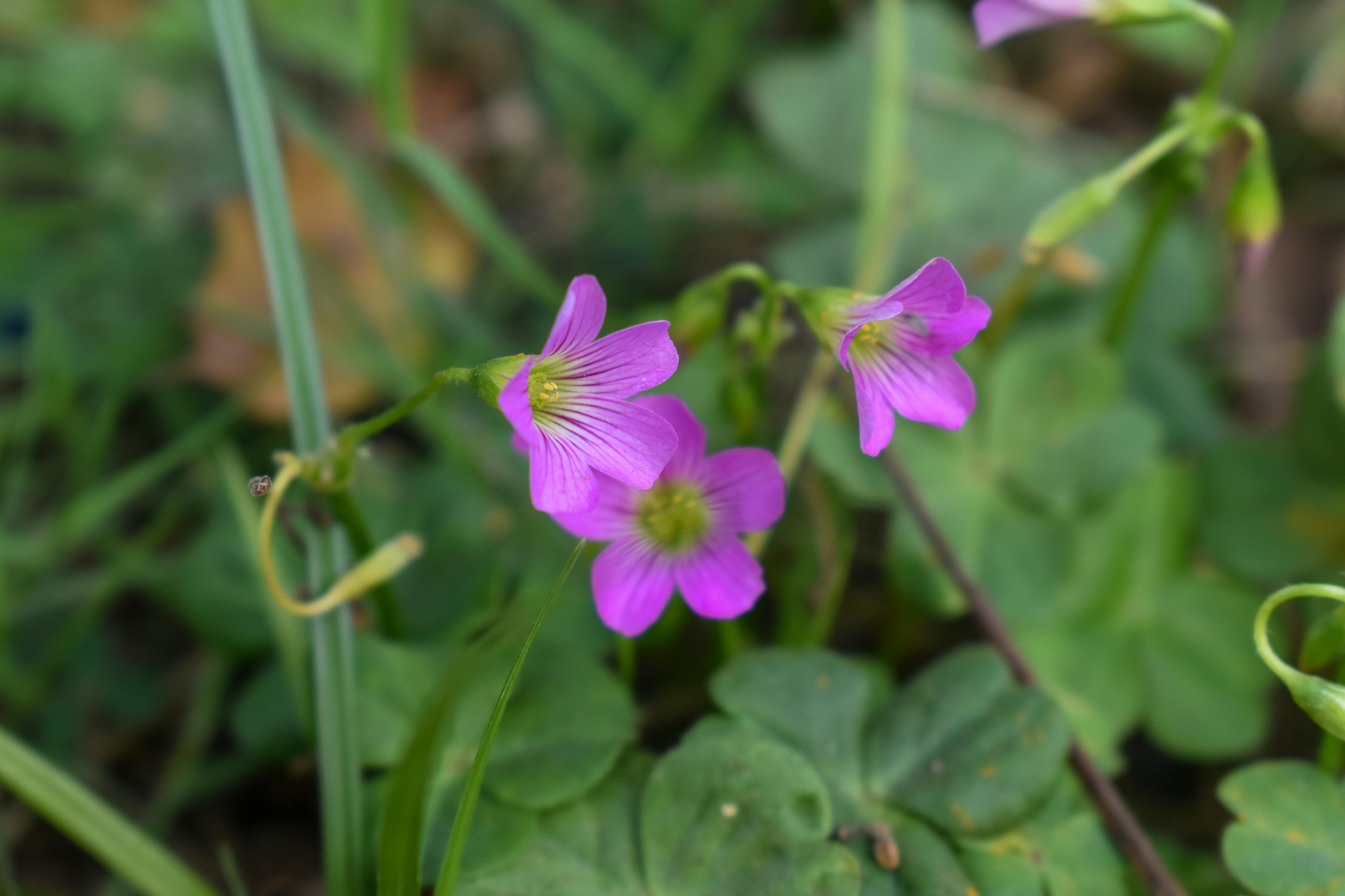 Progress+Photo+Reports Photos, Download The BEST Free Progress+Photo ...