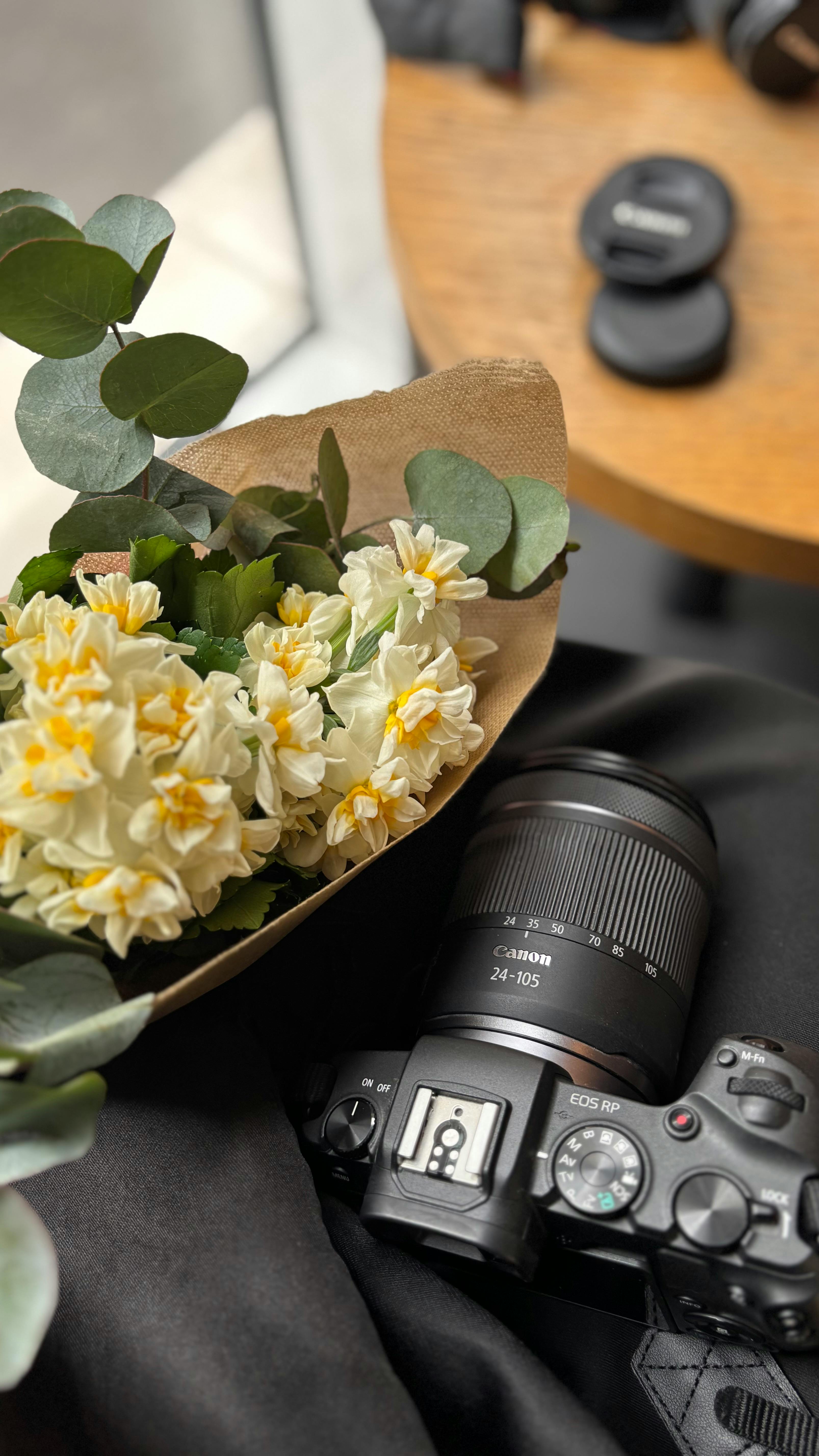 24+Pic Photos, Download The BEST Free 24+Pic Stock Photos & HD Images