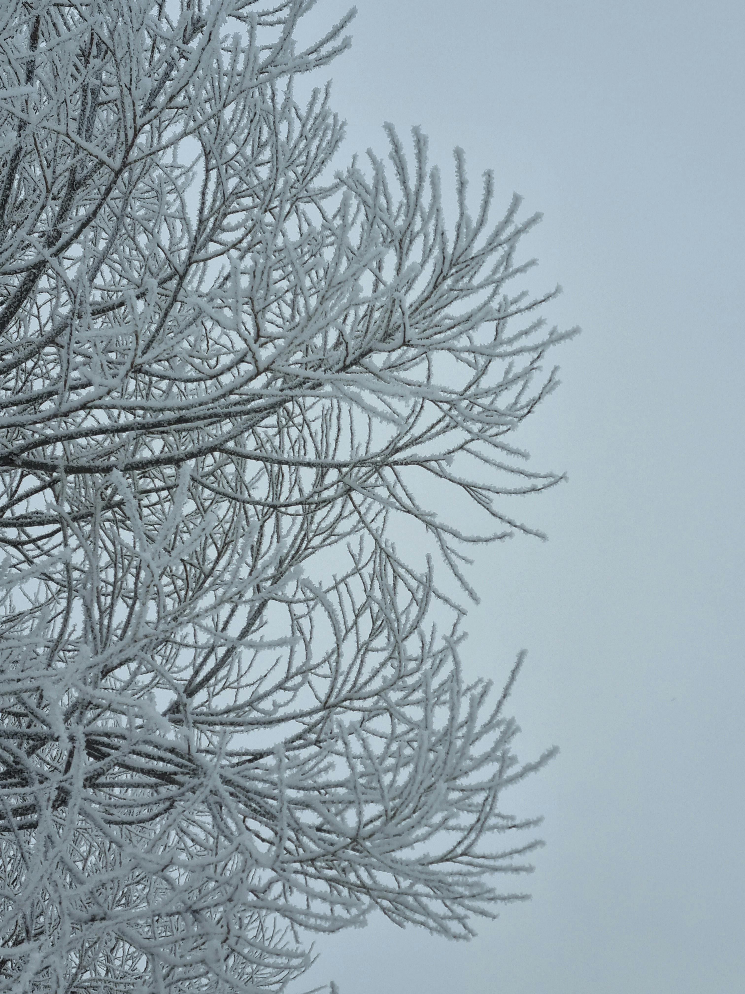 Wow 4hu Icy Photos, Download The BEST Free Wow 4hu Icy Stock Photos ...