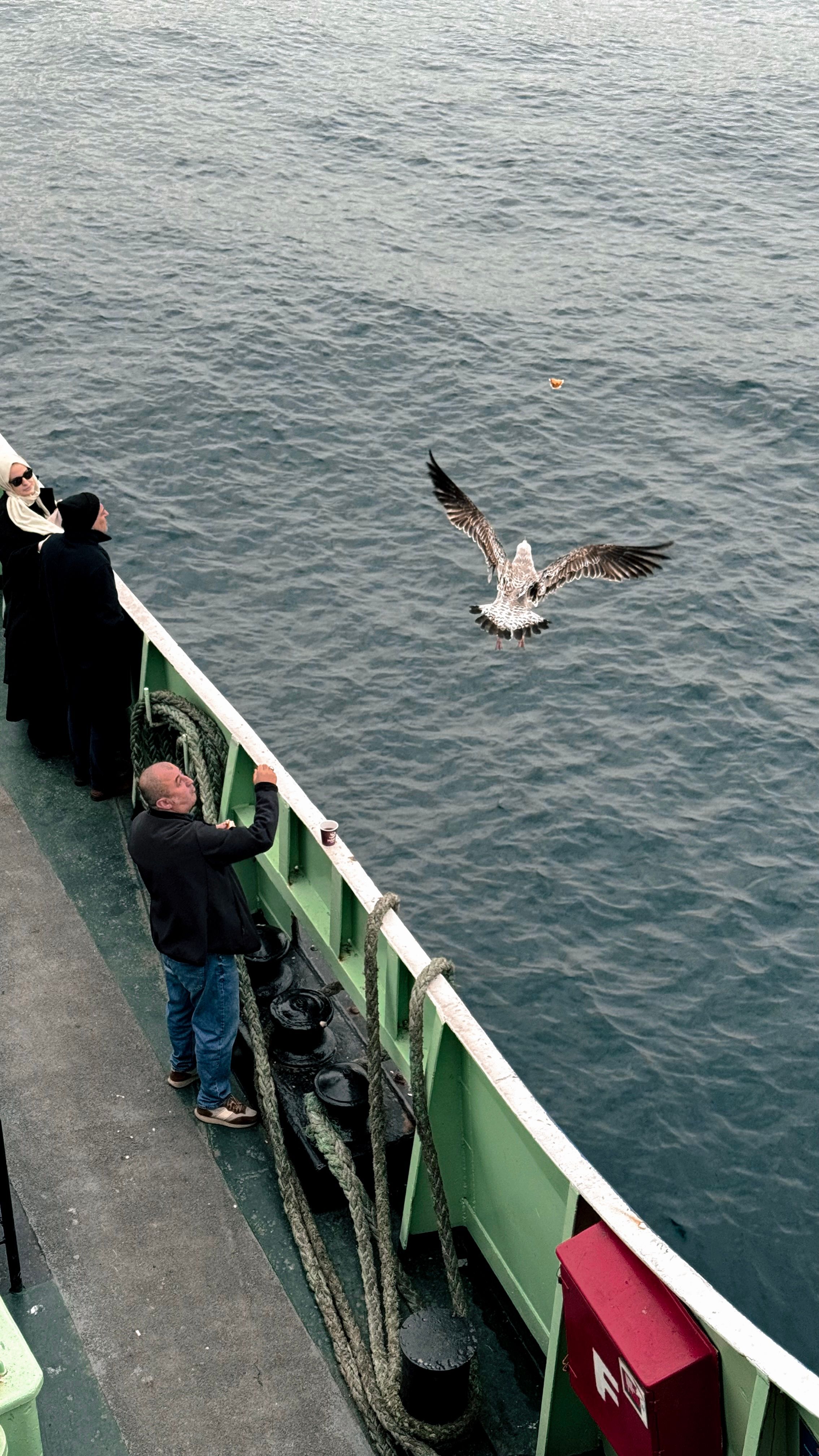 Human Vigina Photos, Download The BEST Free Human Vigina Stock Photos ...