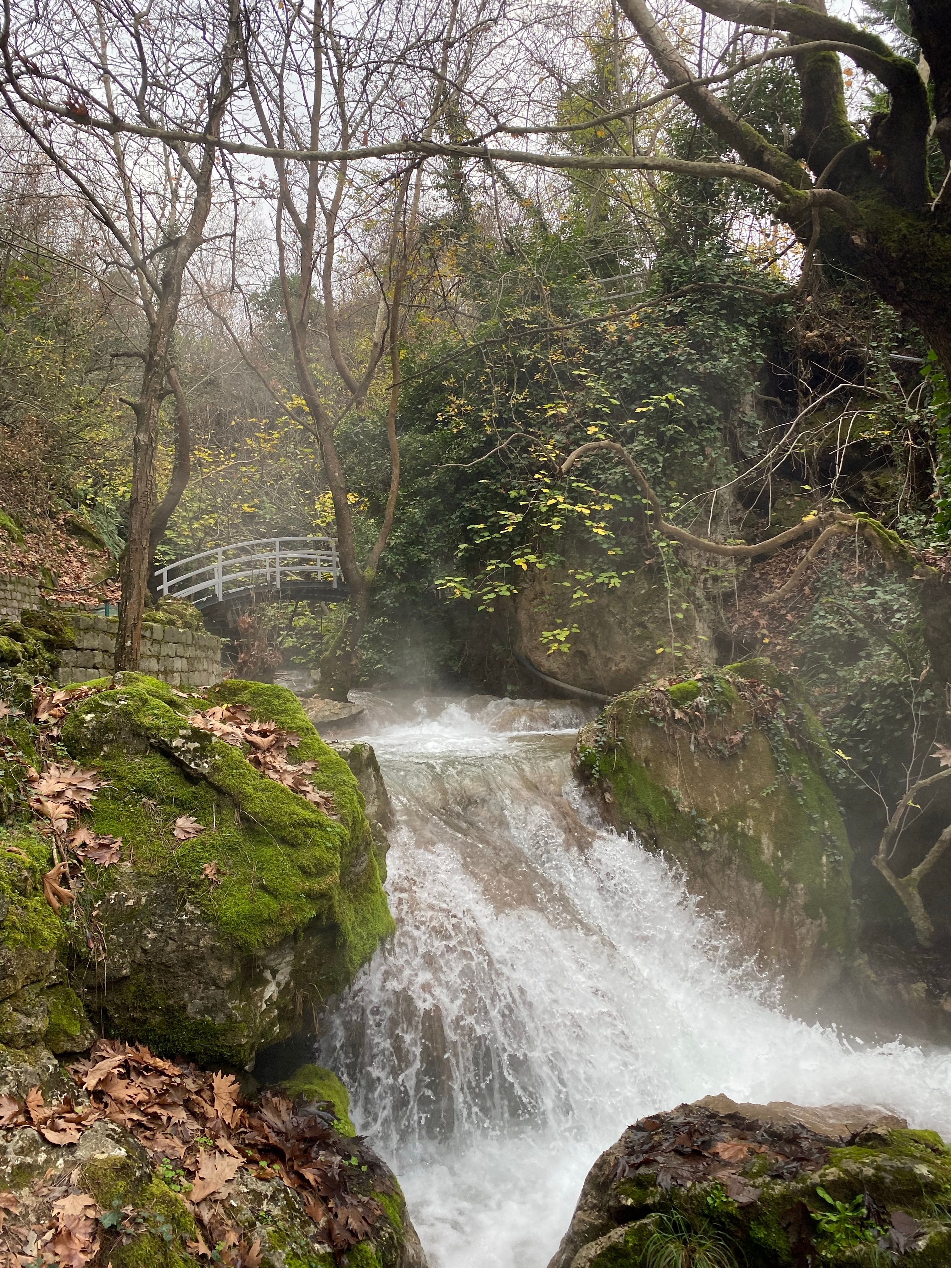 Mossy Stream and Wooden Bridge in Turkish Forest · Free Stock Photo