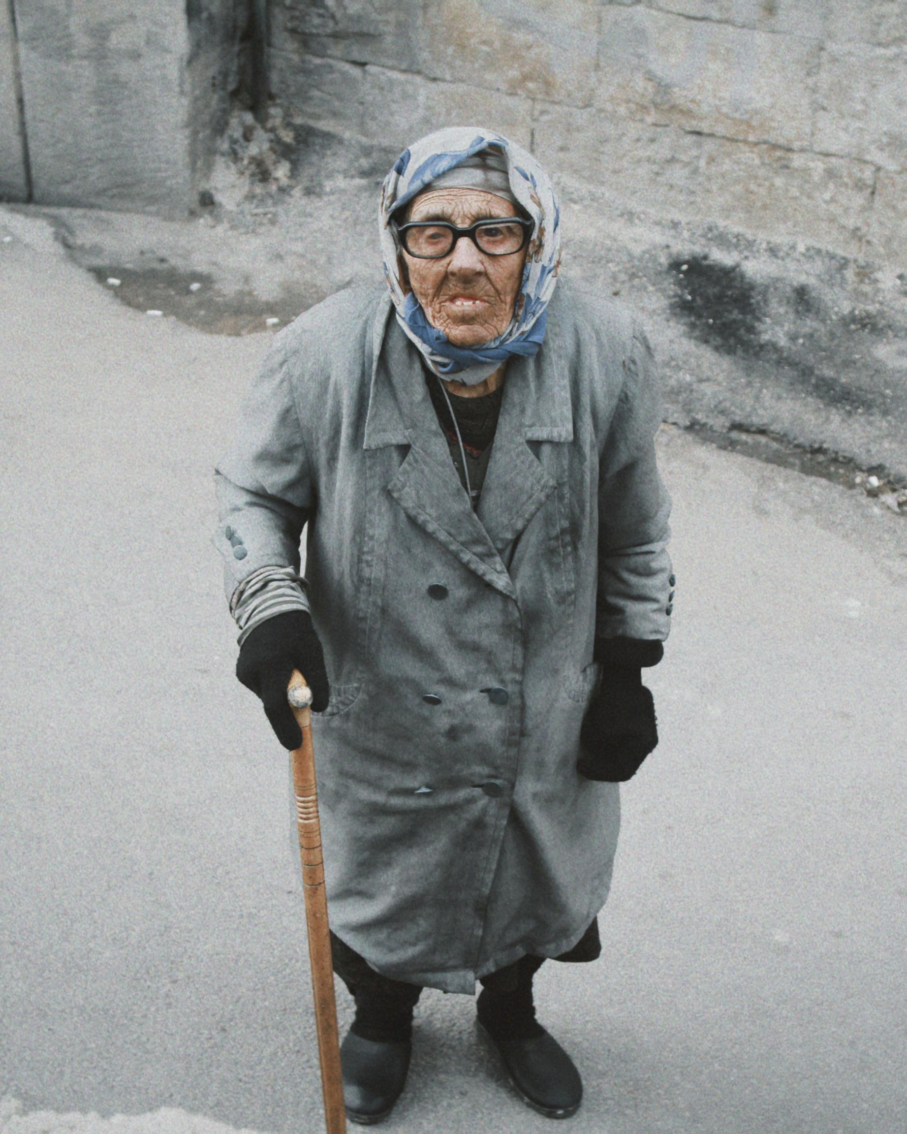 Cane Photos, Download The BEST Free Cane Stock Photos & HD Images