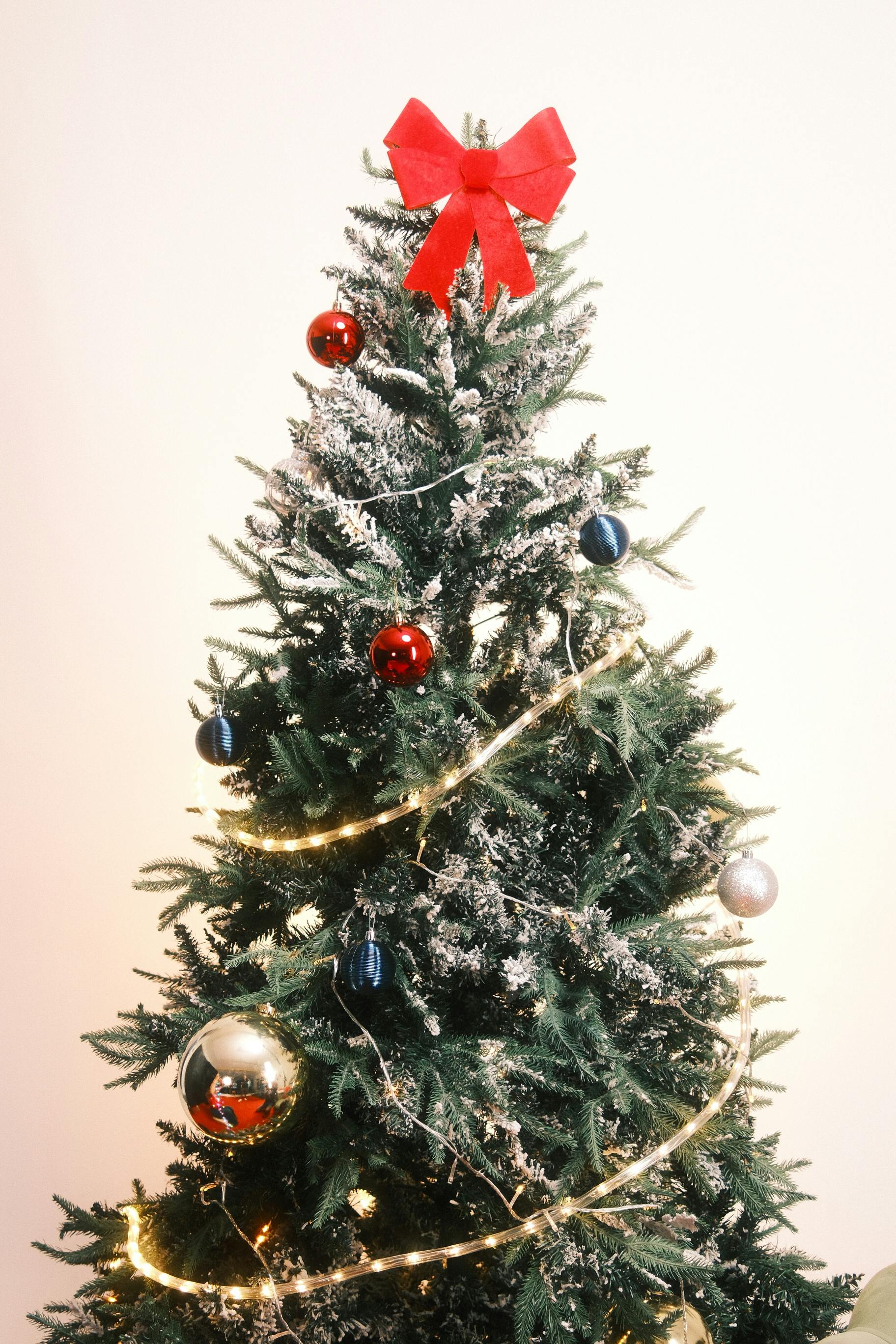 Secret Santa Photos, Download The BEST Free Secret Santa Stock Photos ...