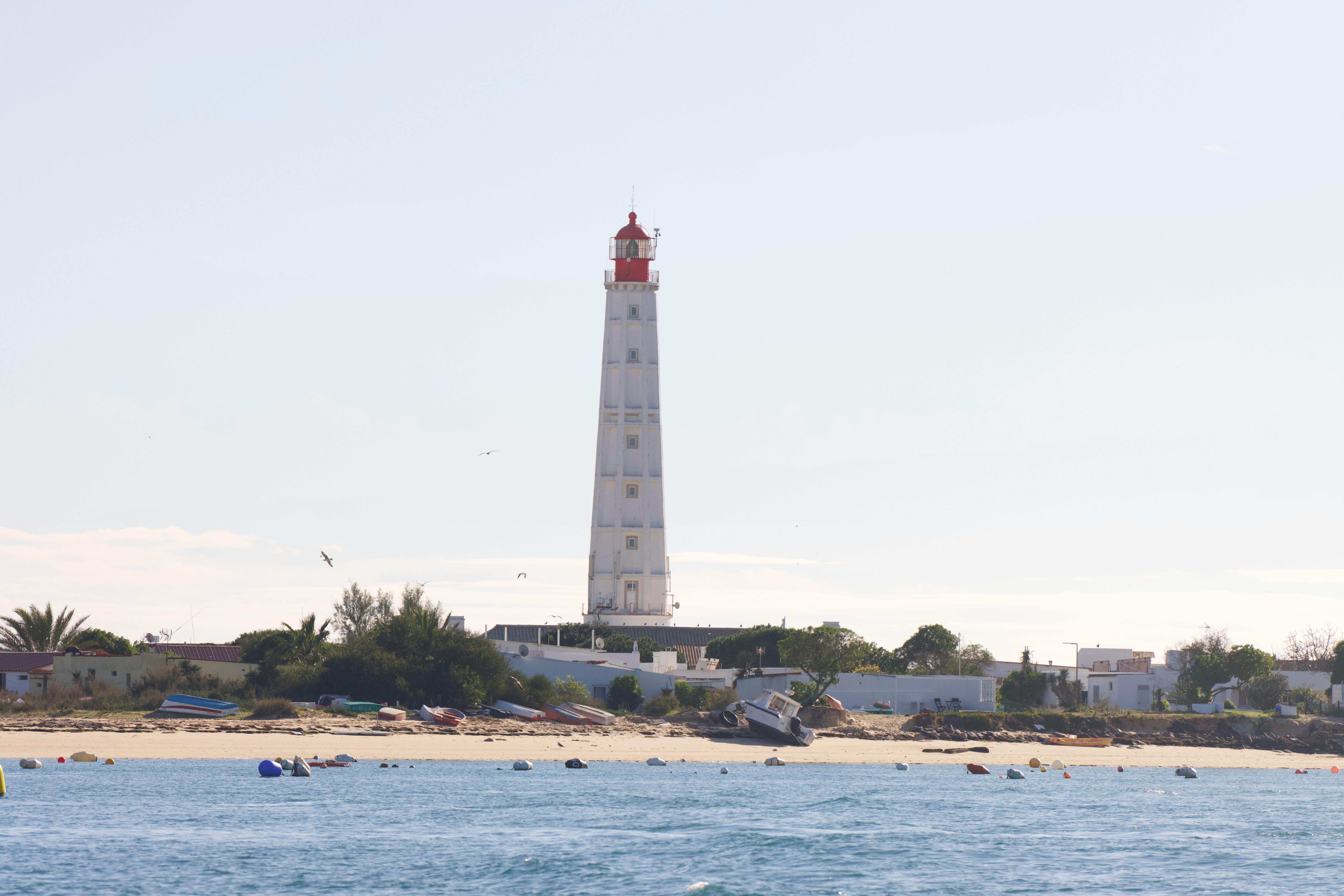 Big+Ass+Foon Photos, Download The BEST Free Big+Ass+Foon Stock Photos ...