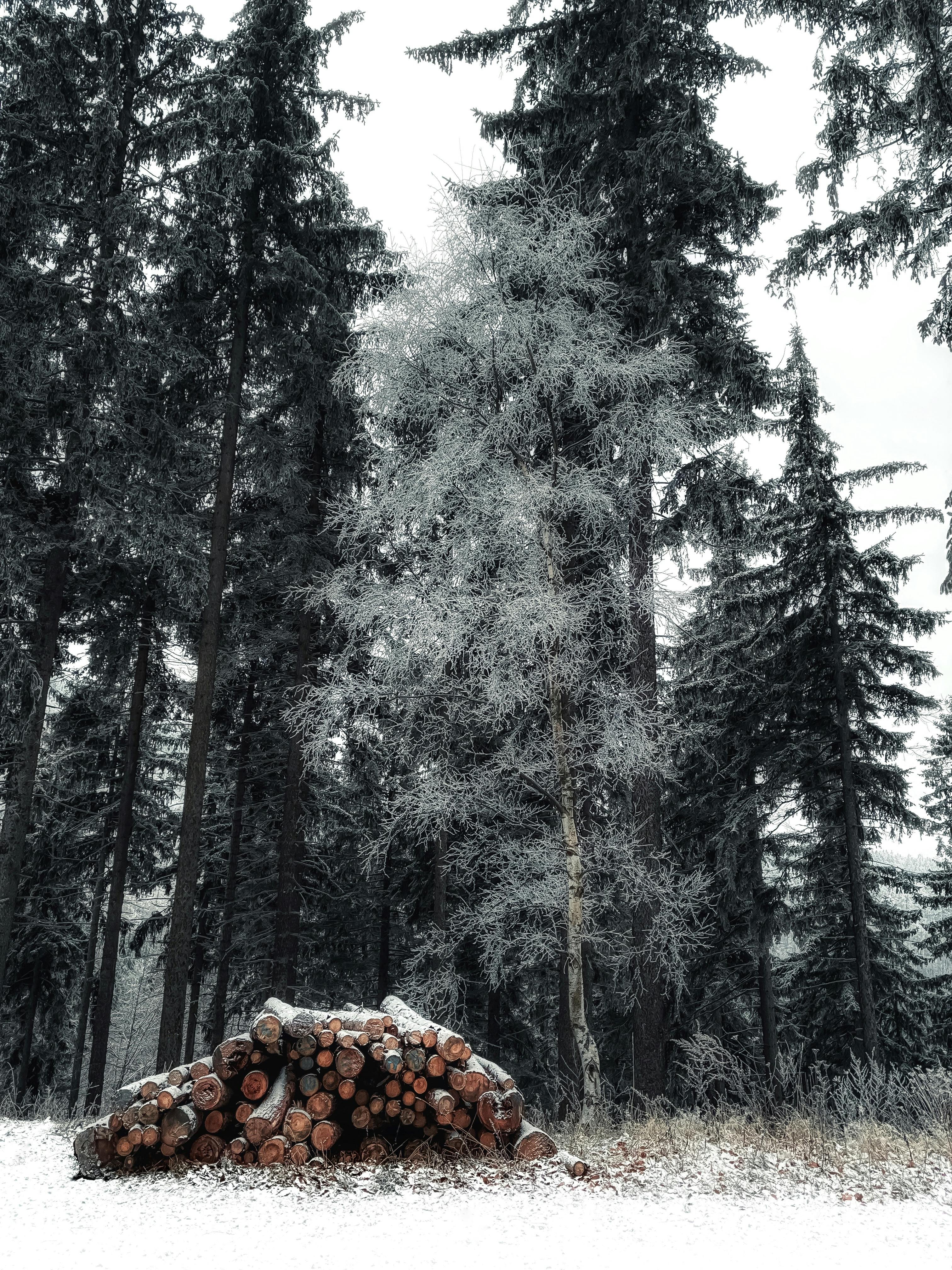 Log+In+Postables Photos, Download The BEST Free Log+In+Postables Stock ...