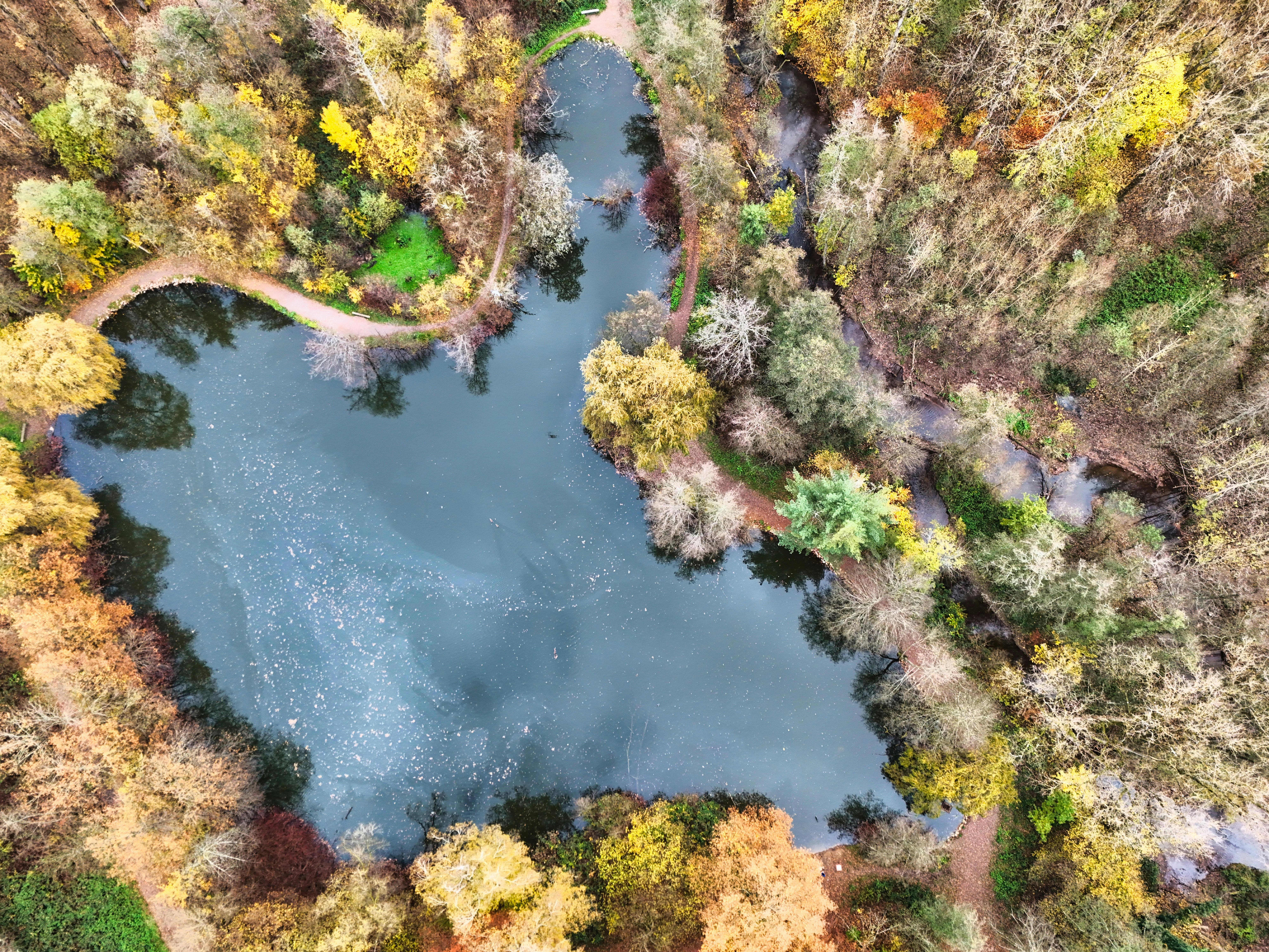 60,000+张最精彩的“Aadhar Pan Link Hd Wallpaper”图片 · 100%免费下载 · Pexels素材图片