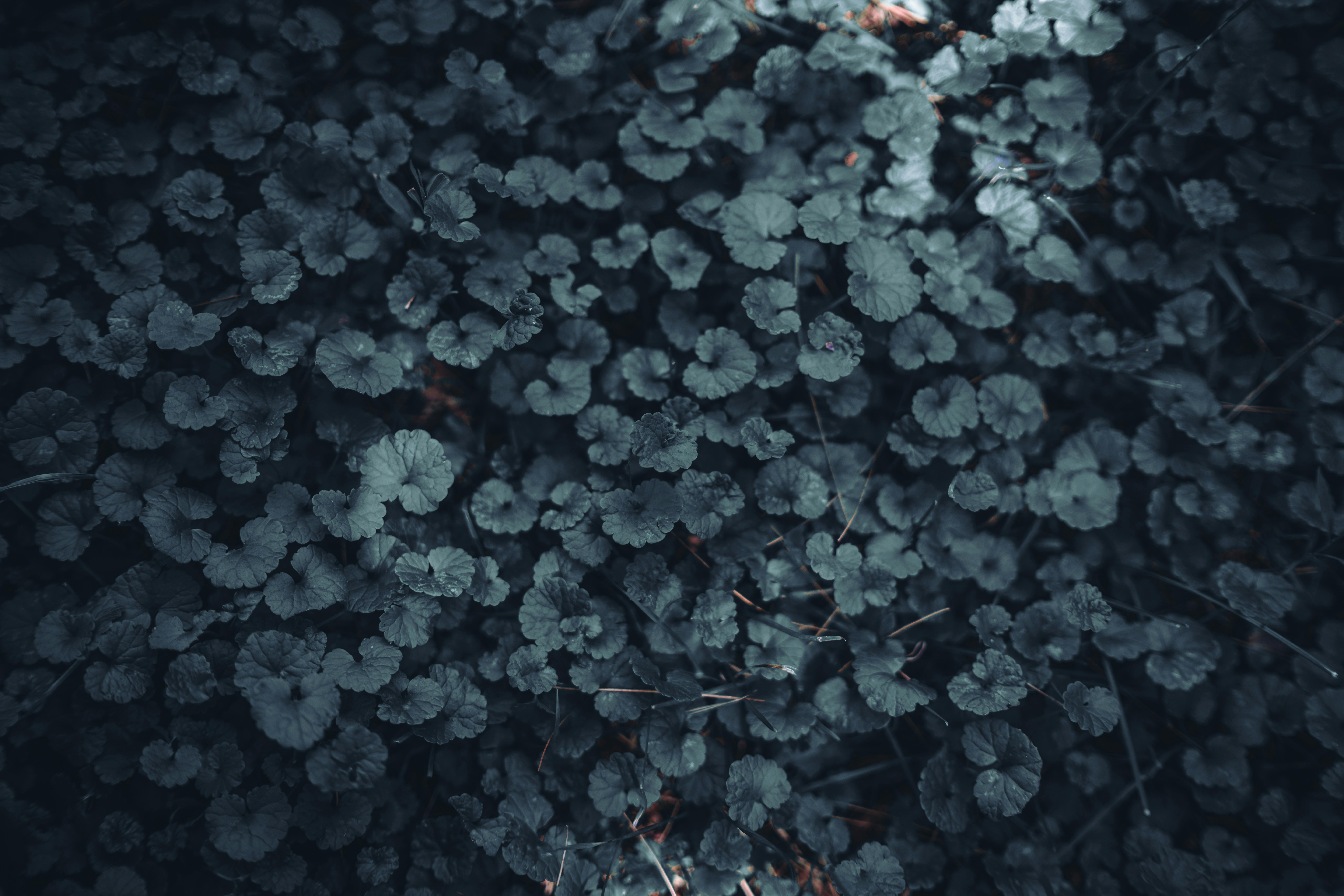 Clipart+Computer+Monitor Photos, Download The BEST Free Clipart ...