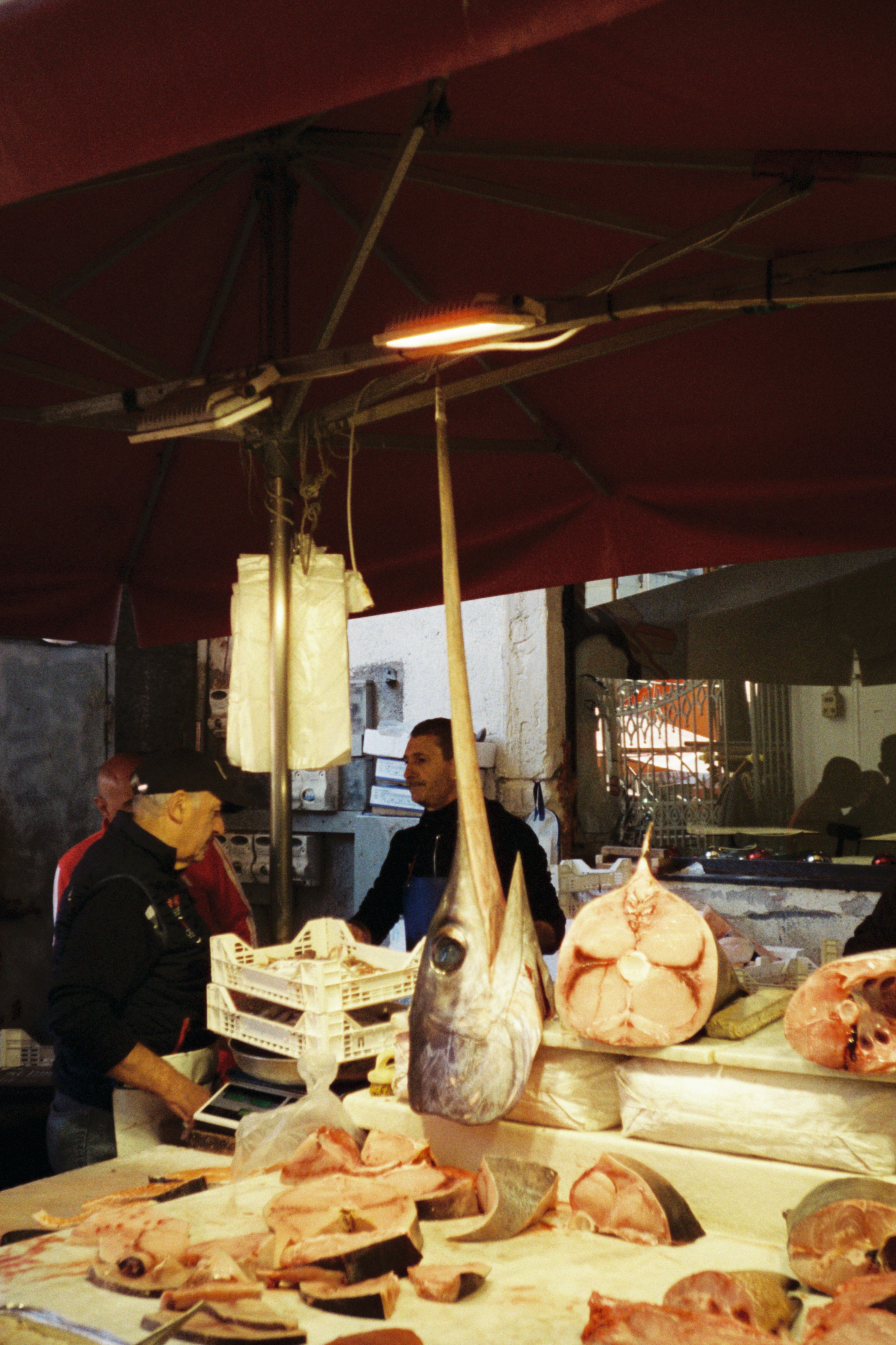 Swordfish Display at Sicilian Market Stall · Free Stock Photo