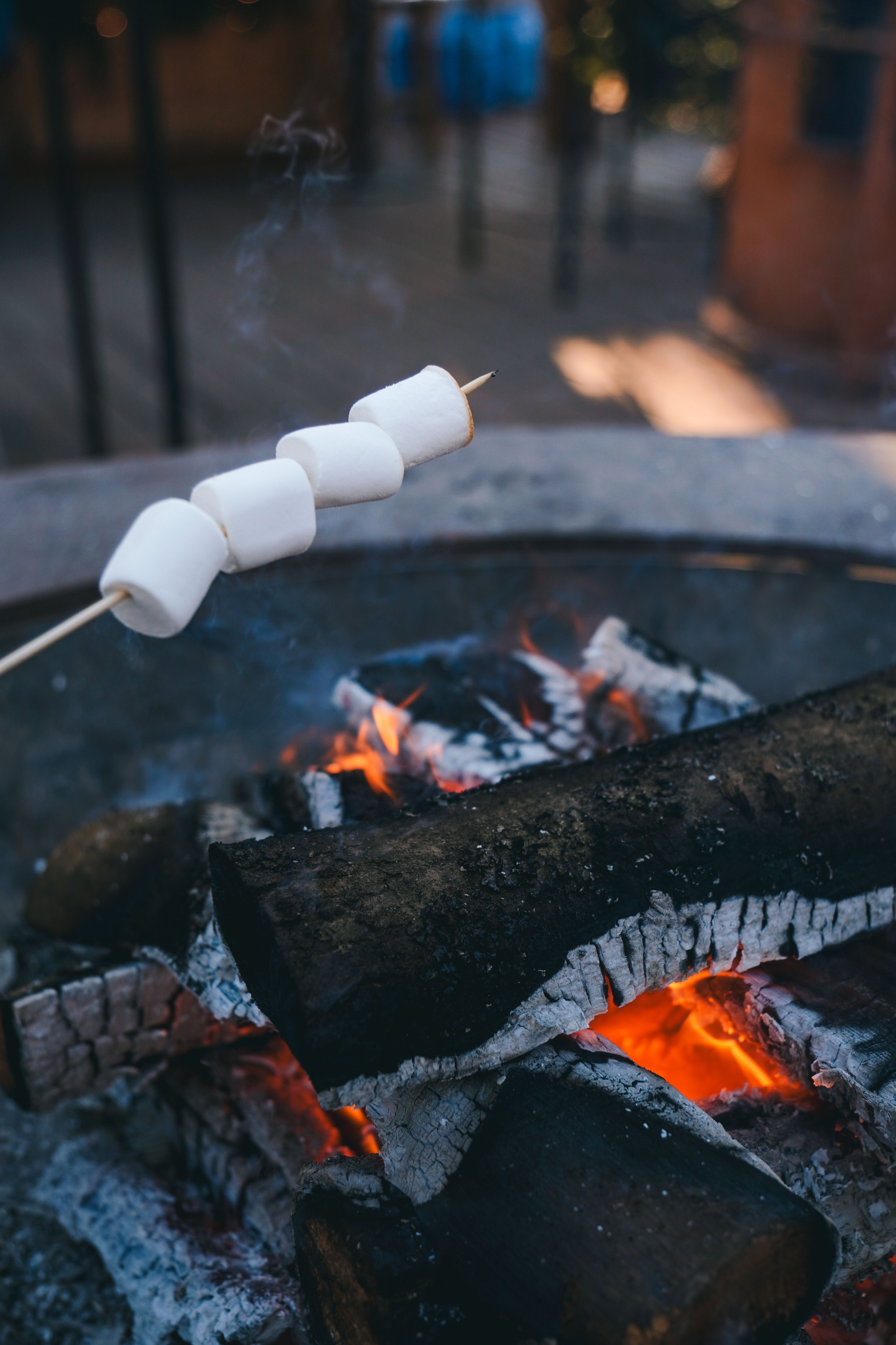 Camping Cooking Photos, Download The BEST Free Camping Cooking Stock ...