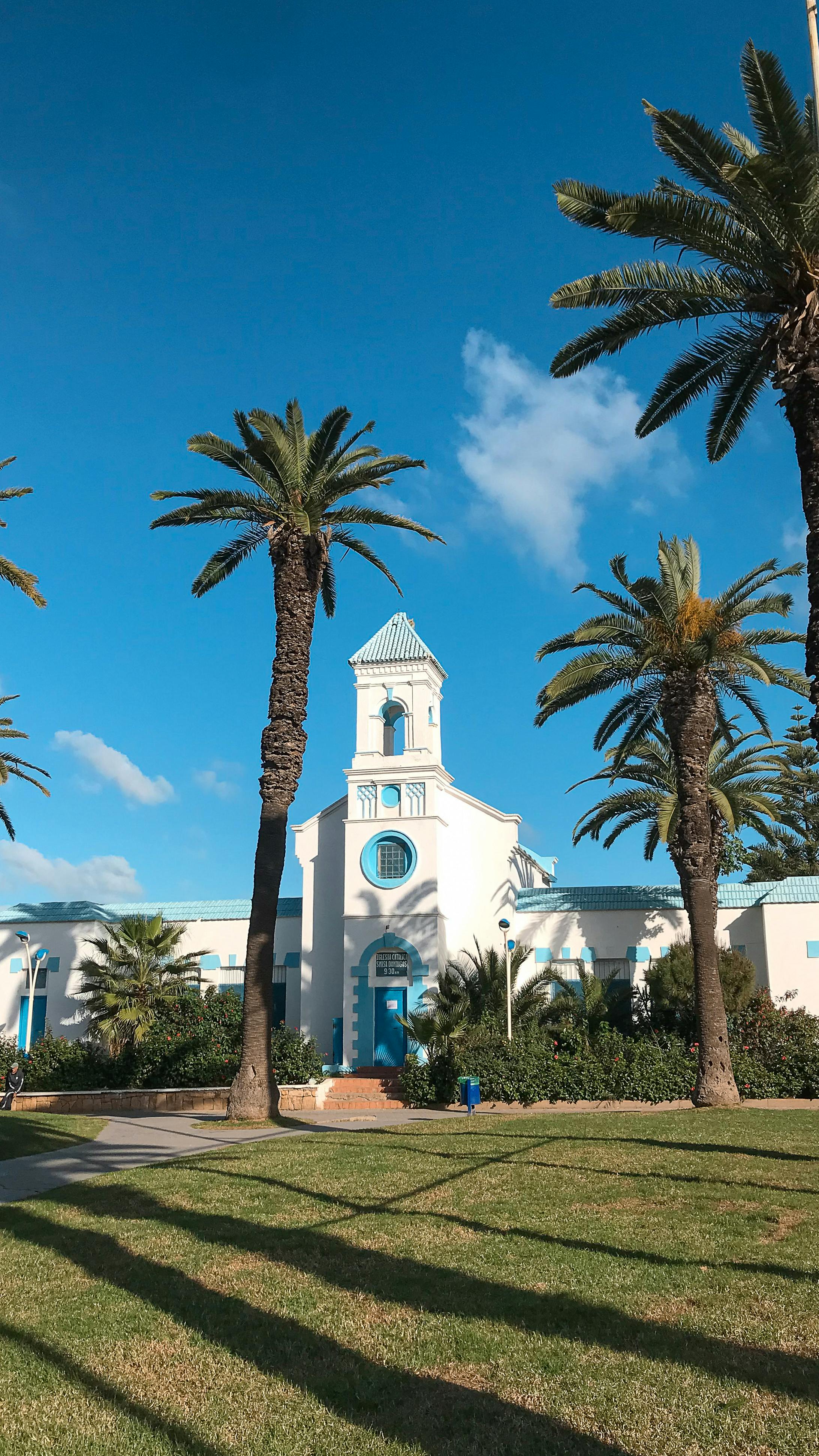 Elegant Coastal Architecture with Palm Trees in Morocco · Free Stock Photo