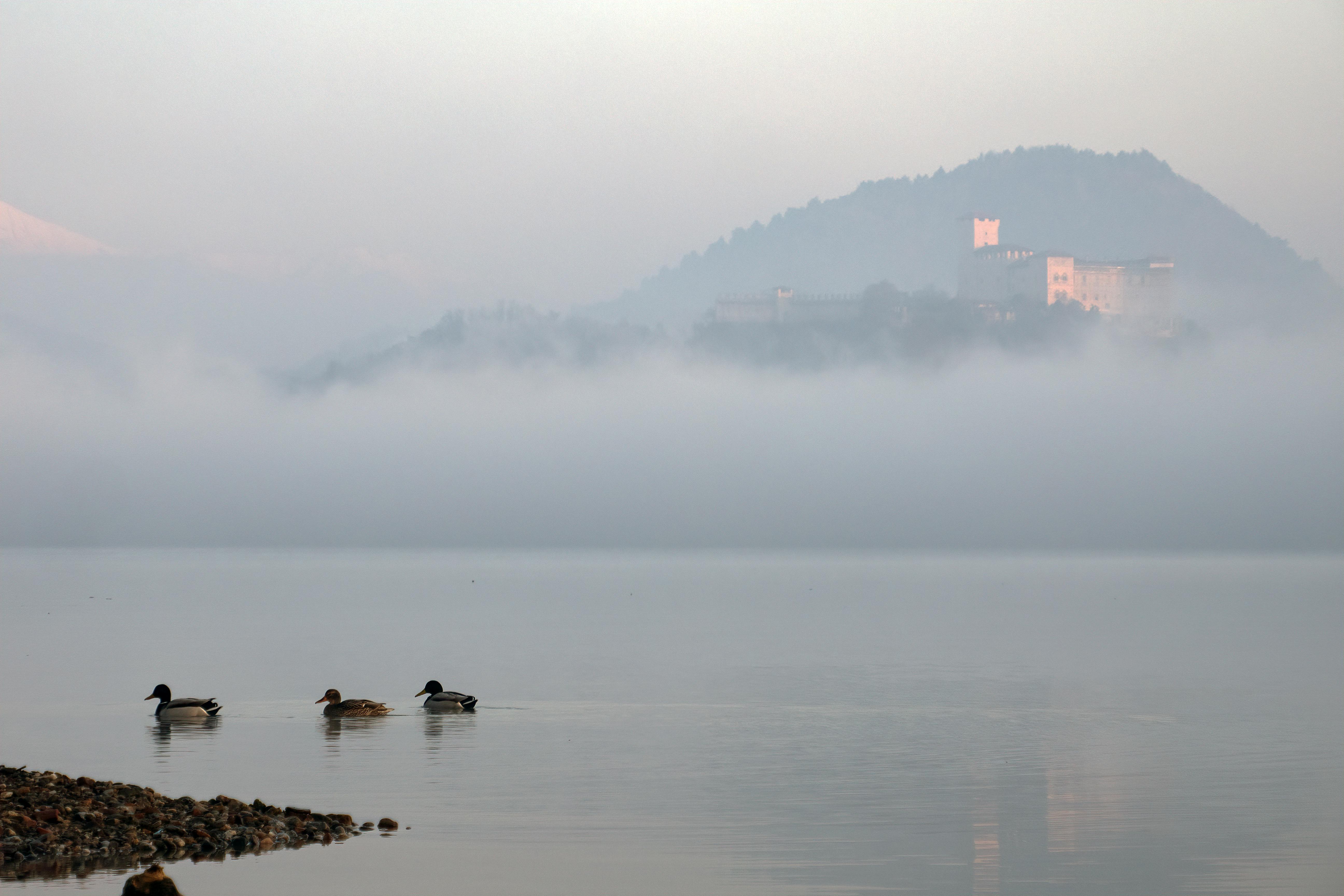 10 000+ najlepszych zdjęć z kategorii: Bocil-sd-di-iming-iming-duit-50-bokep-viral · Do pobrania ...