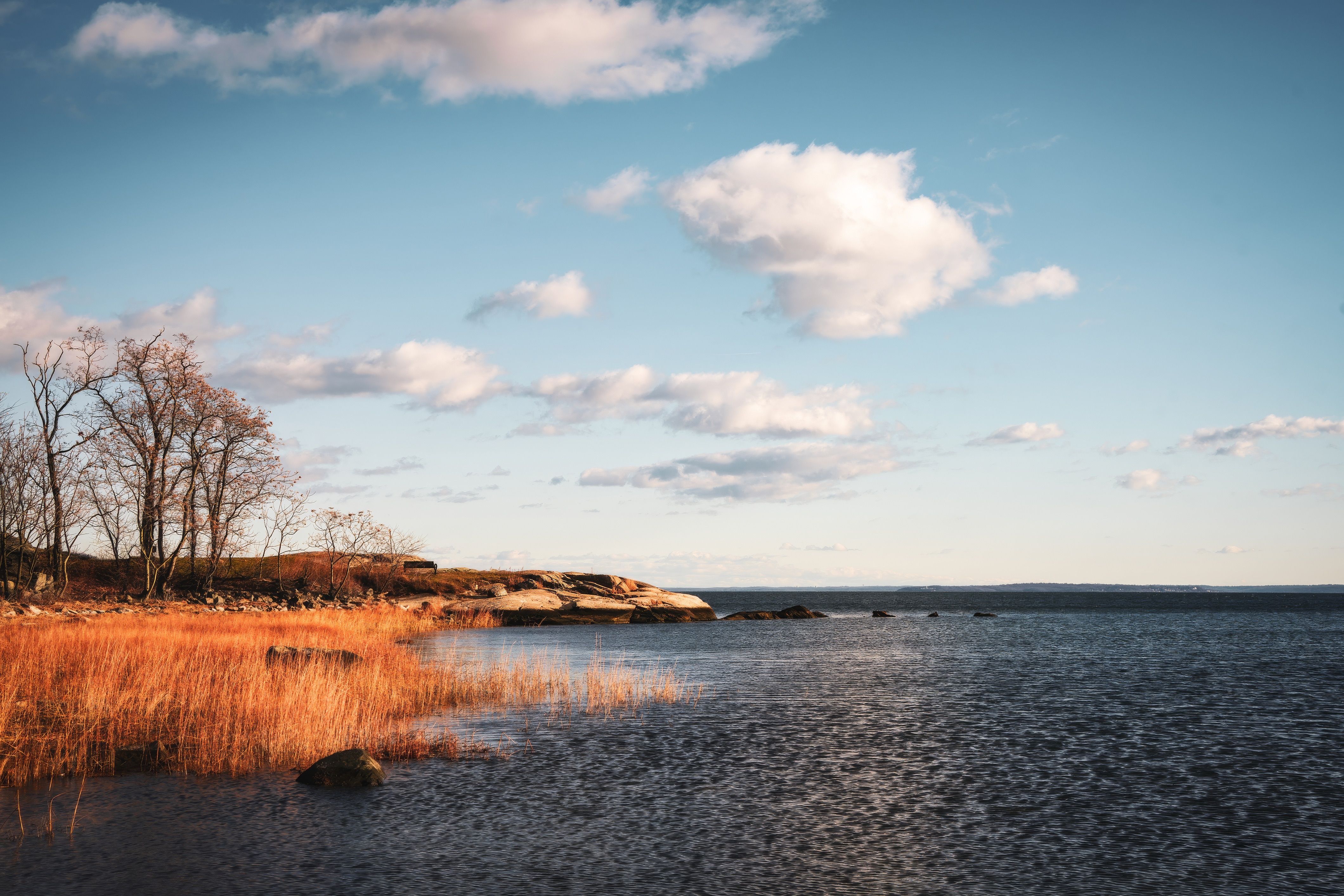 Scenic Autumn Coastal Landscape with Calm Waters · Free Stock Photo