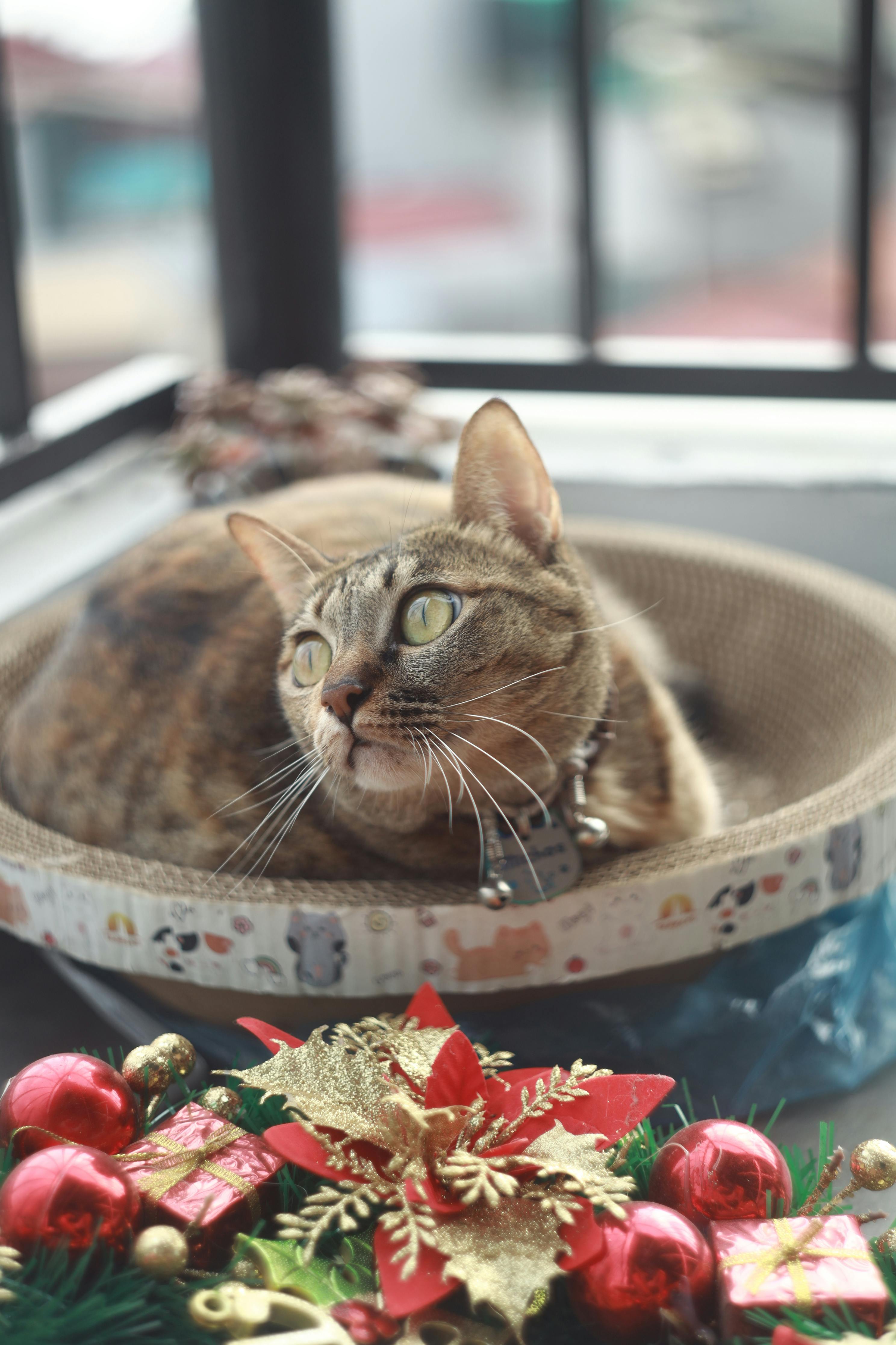 Heavy+ R+.Com Photos, Download The BEST Free Heavy+ R+.Com Stock Photos ...