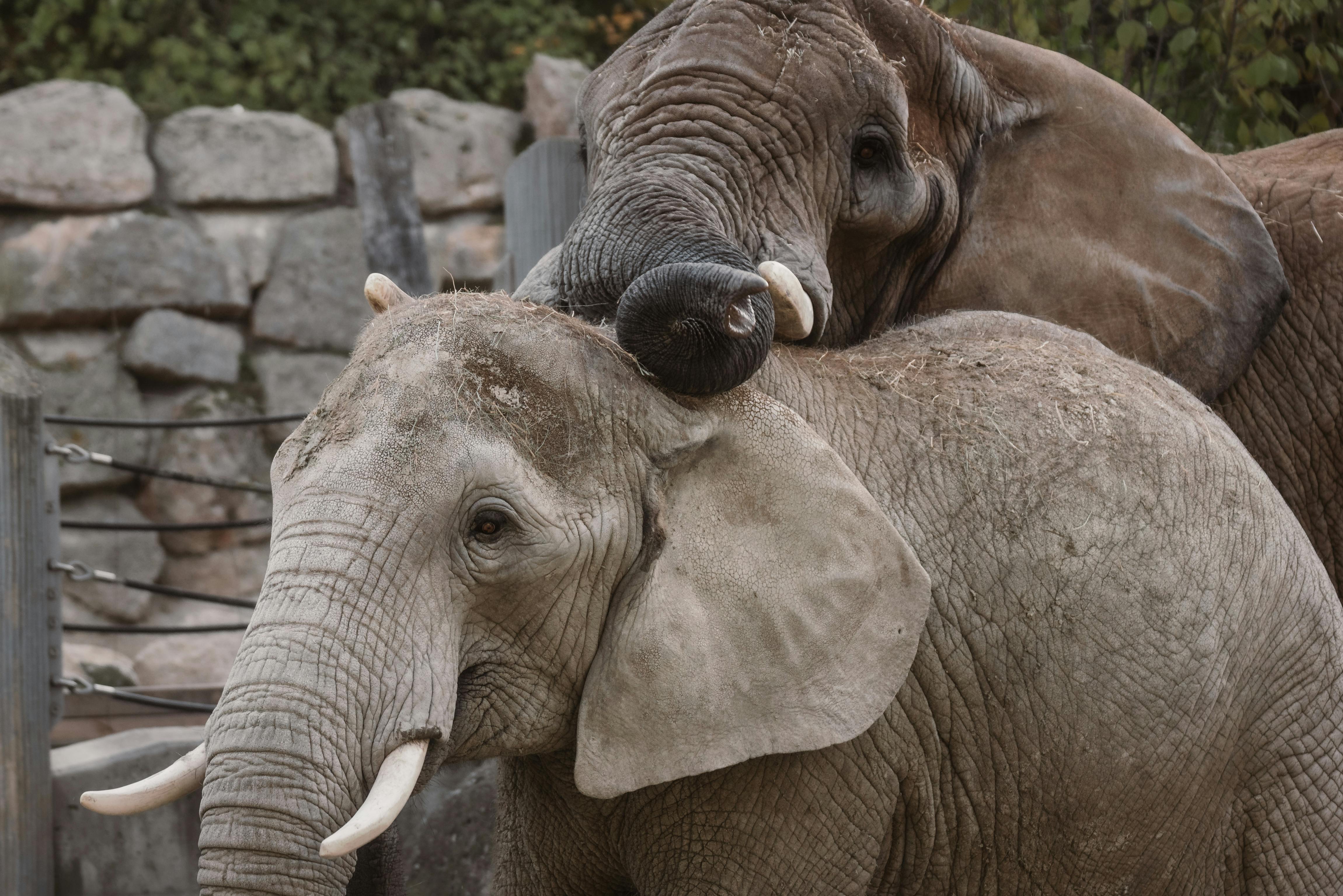 80.000+ Fast Furious Wallpaper Bilder und Fotos · Kostenlos Downloaden ...