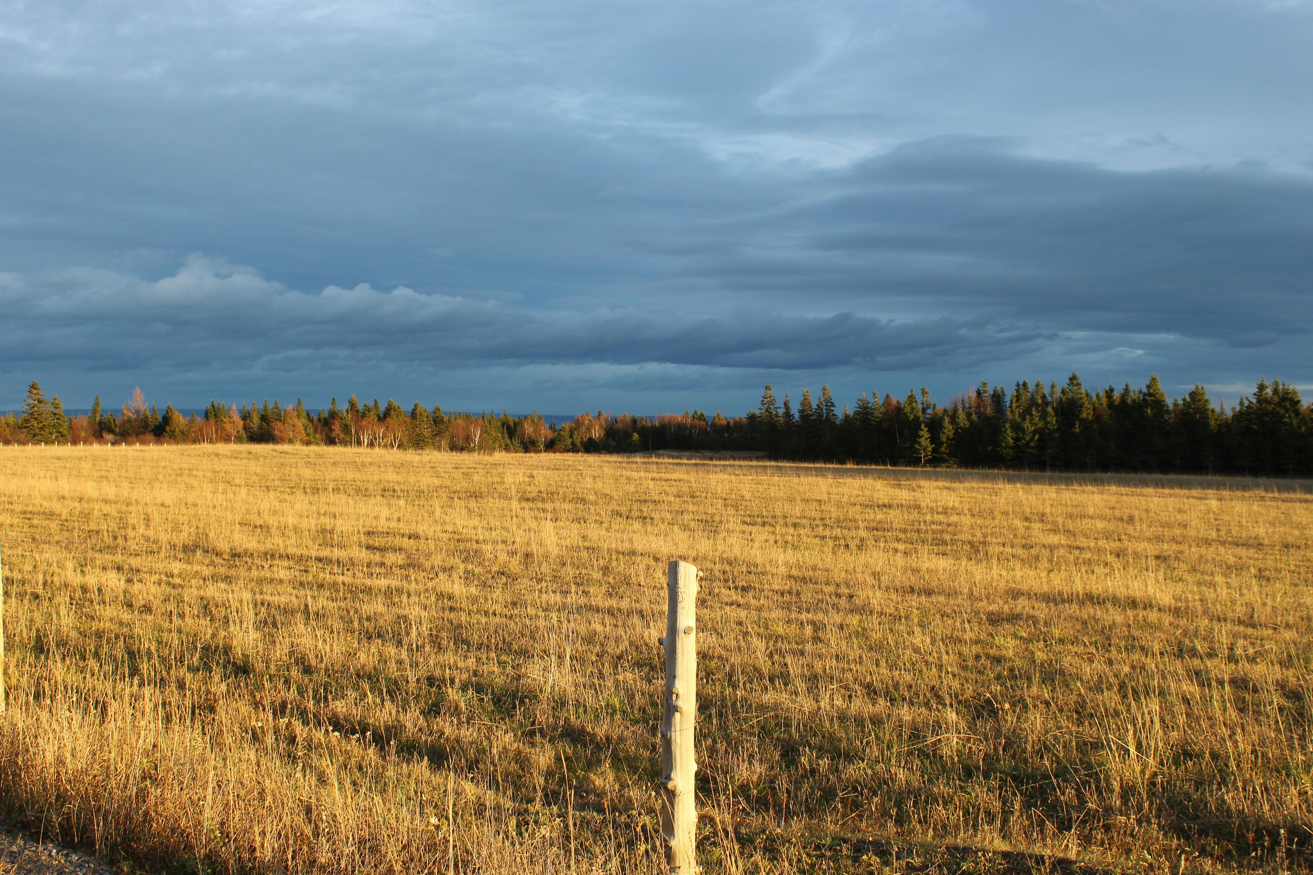 Coucher De Soleil Serein Sur Les Champs Et Les Forêts D'automne · Photo ...