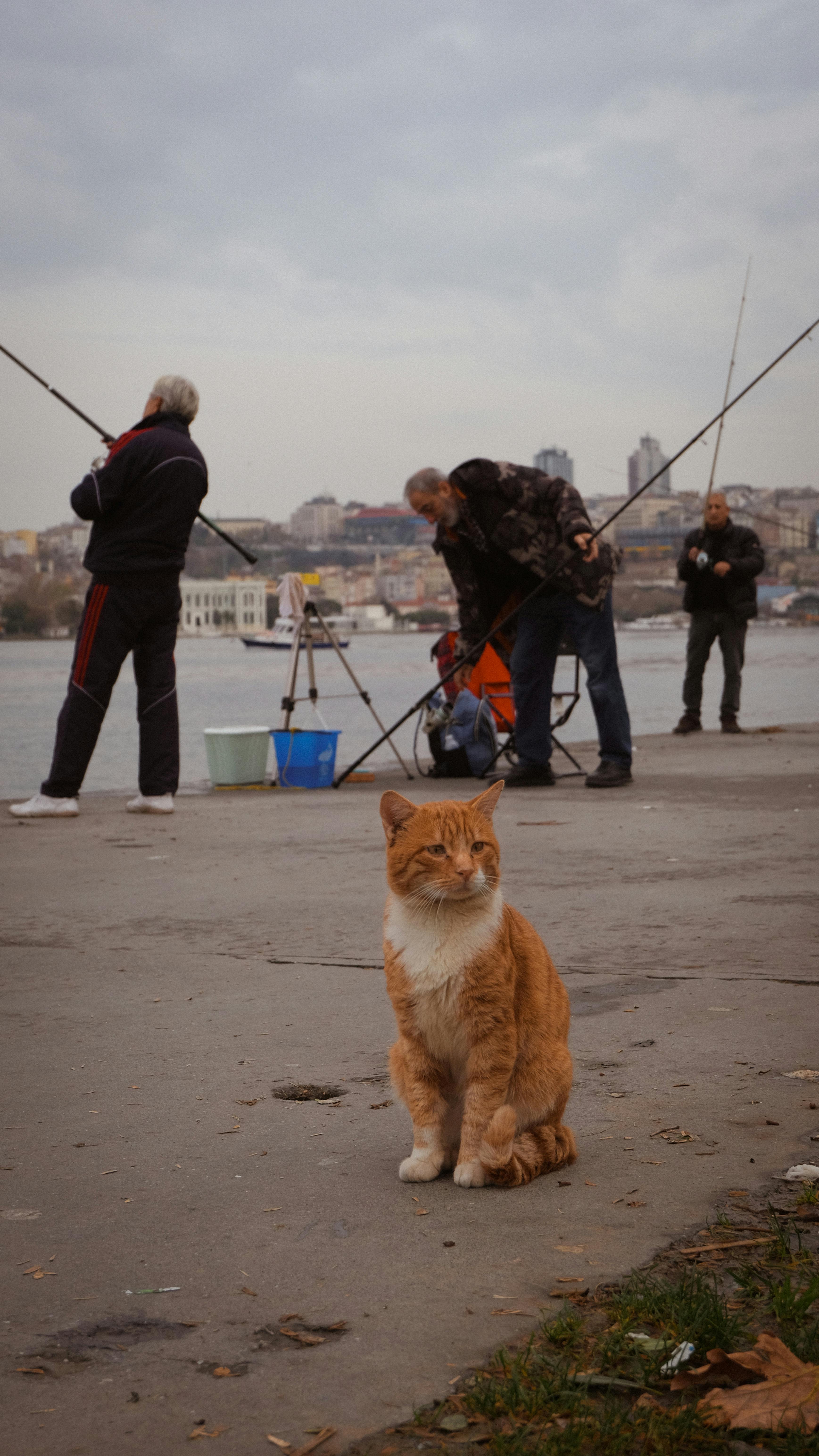 People+Kisangani+Prompting Photos, Download The BEST Free People ...