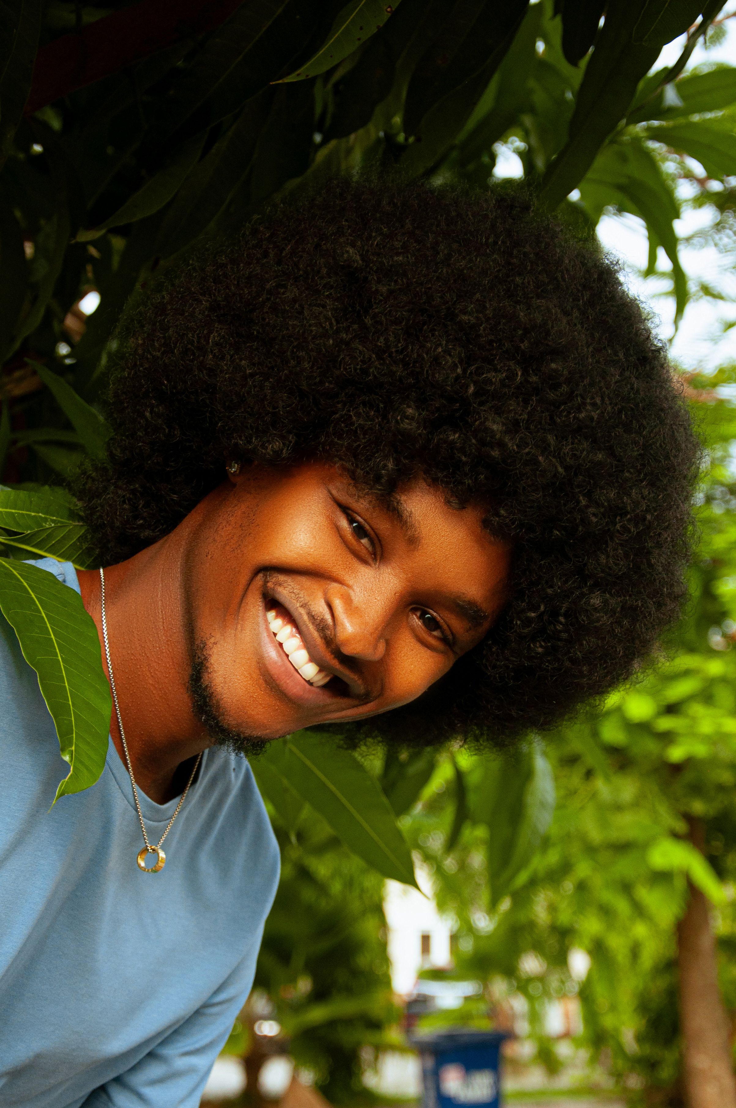 70.402+ Fotos y Imágenes de Afro mexican Gratis · Banco de Fotos Gratis