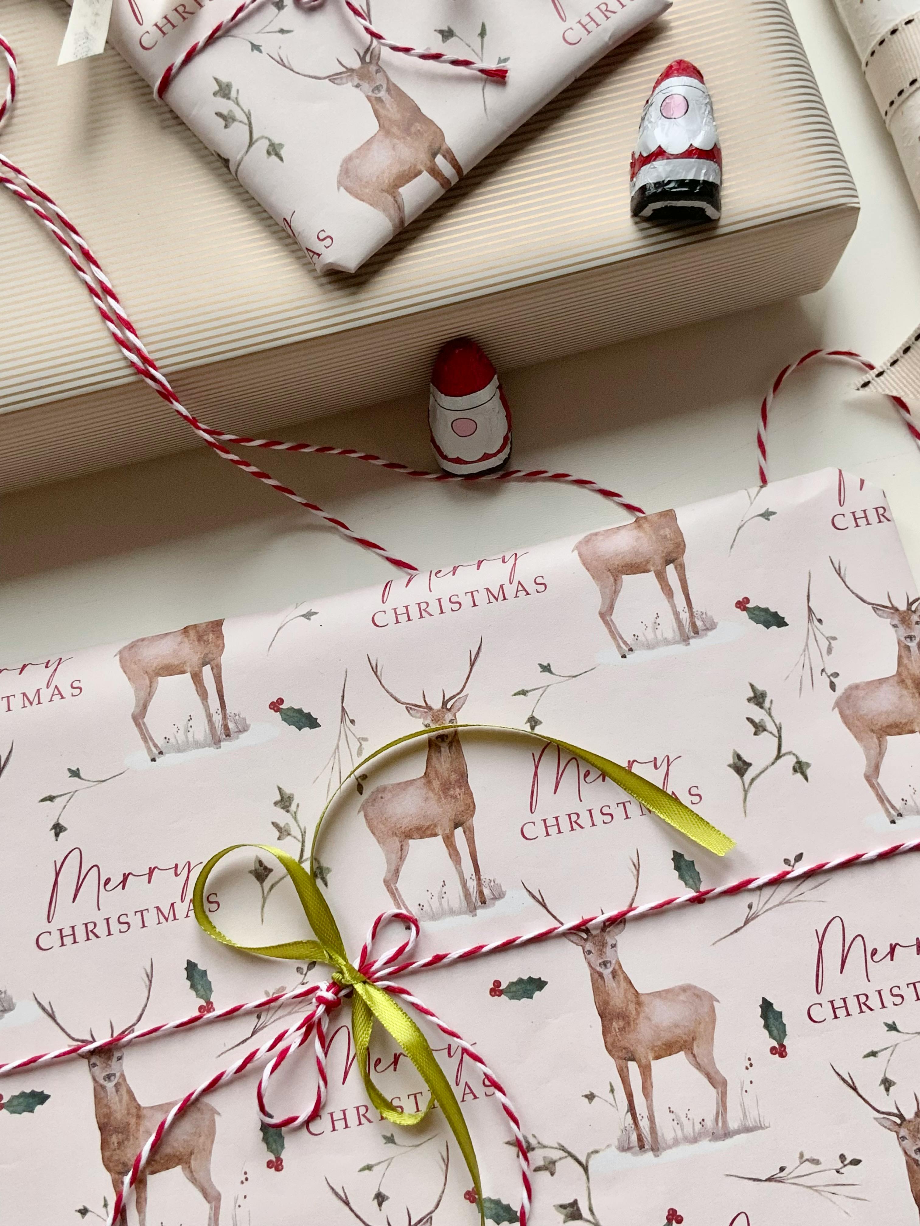 70.000+ Imx.to+cheer Bilder und Fotos · Kostenlos Downloaden · Pexels ...