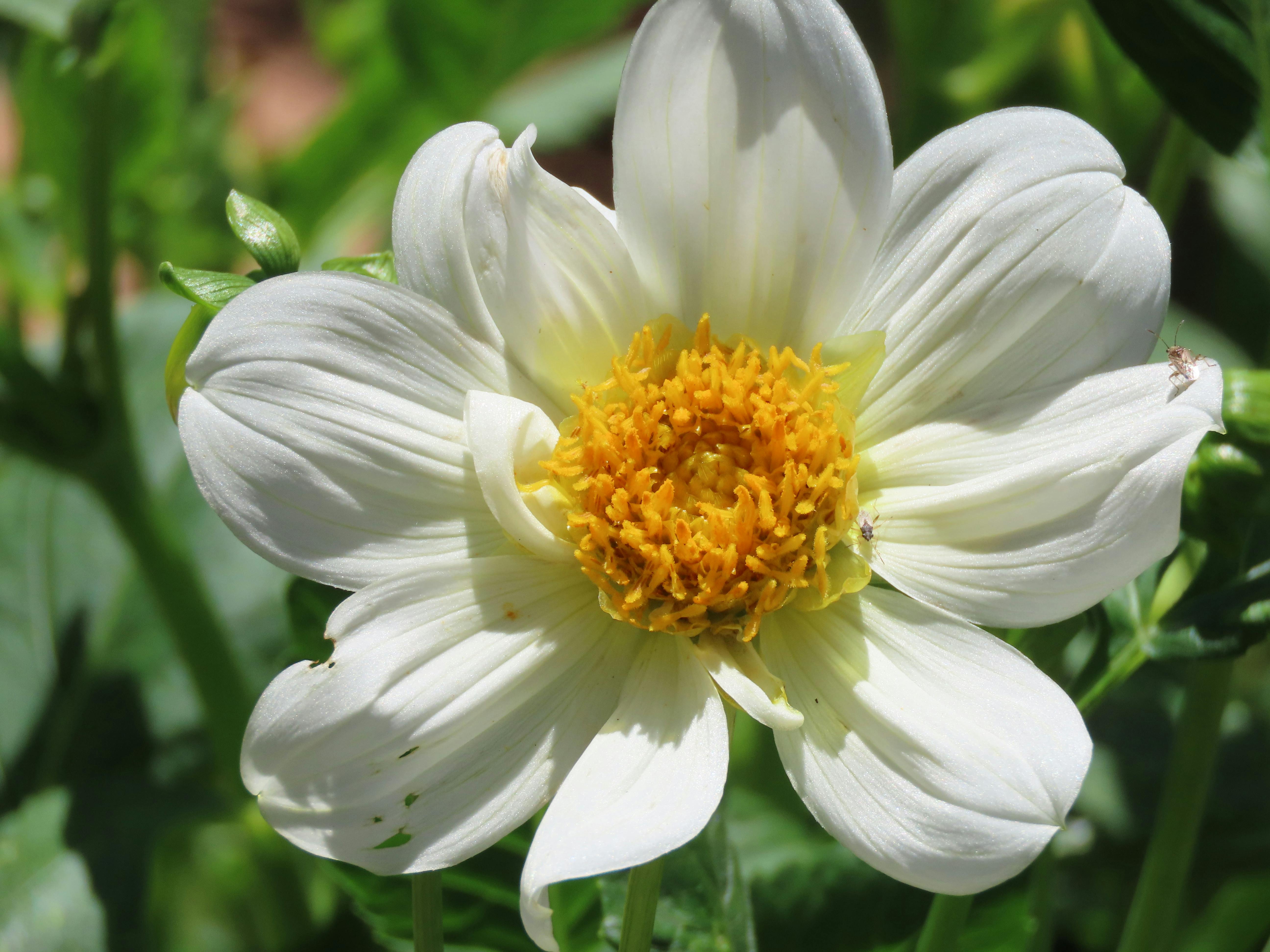 Capgemini+Wallpaper Photos, Download The BEST Free Capgemini+Wallpaper ...