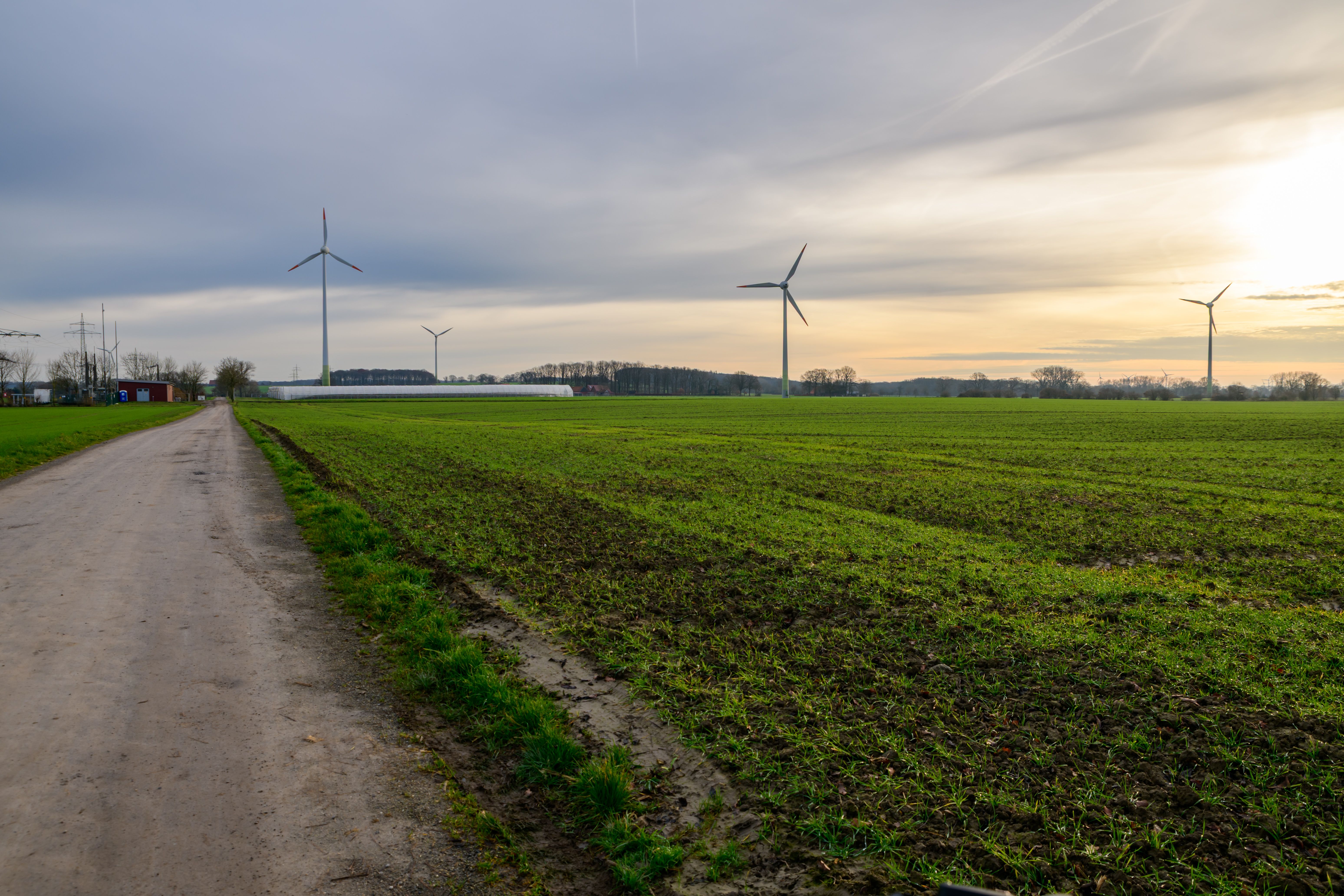 Wind Farm on Green Grass Pastures · Free Stock Photo