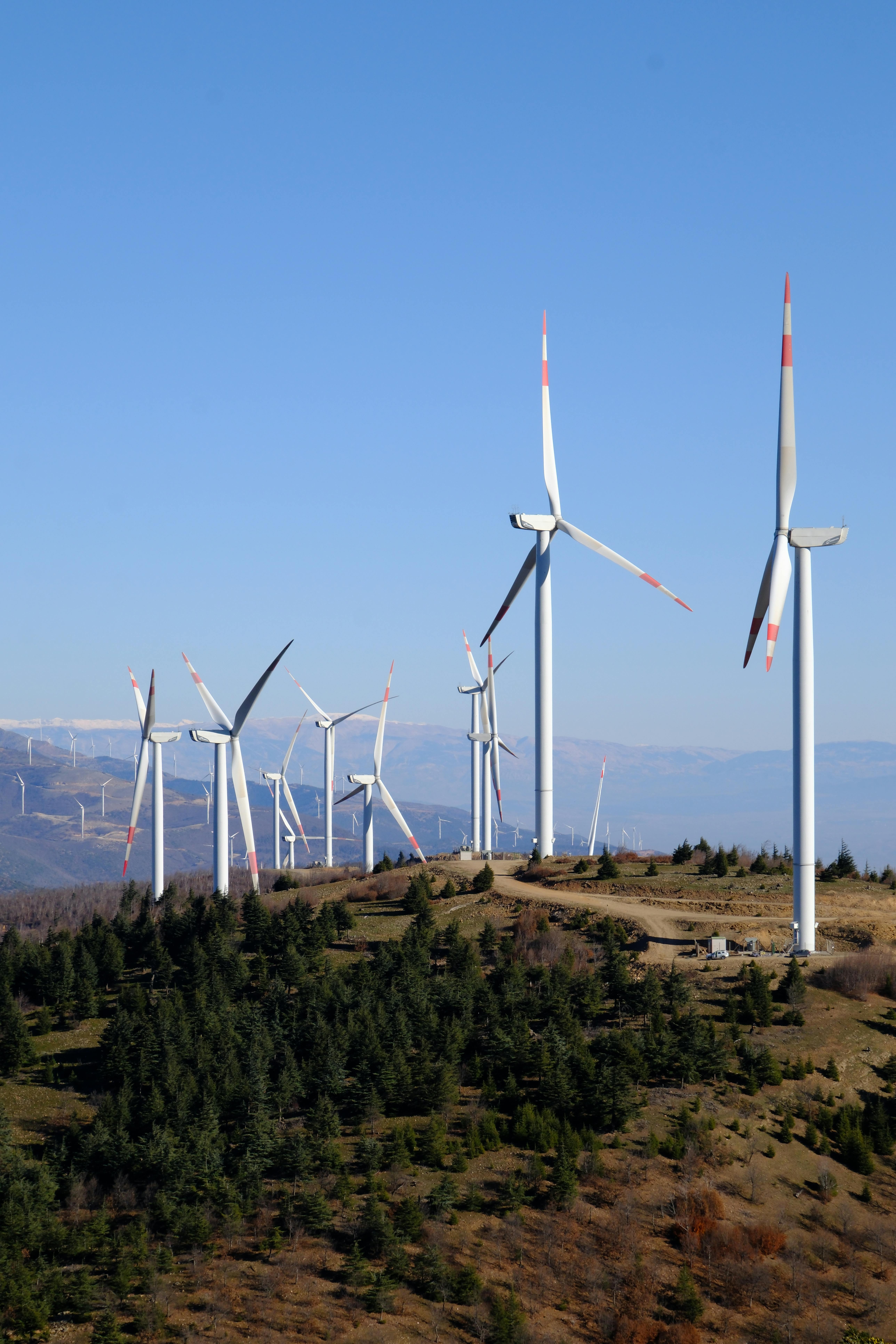 Clean Pfp Photos, Download The BEST Free Clean Pfp Stock Photos & HD Images