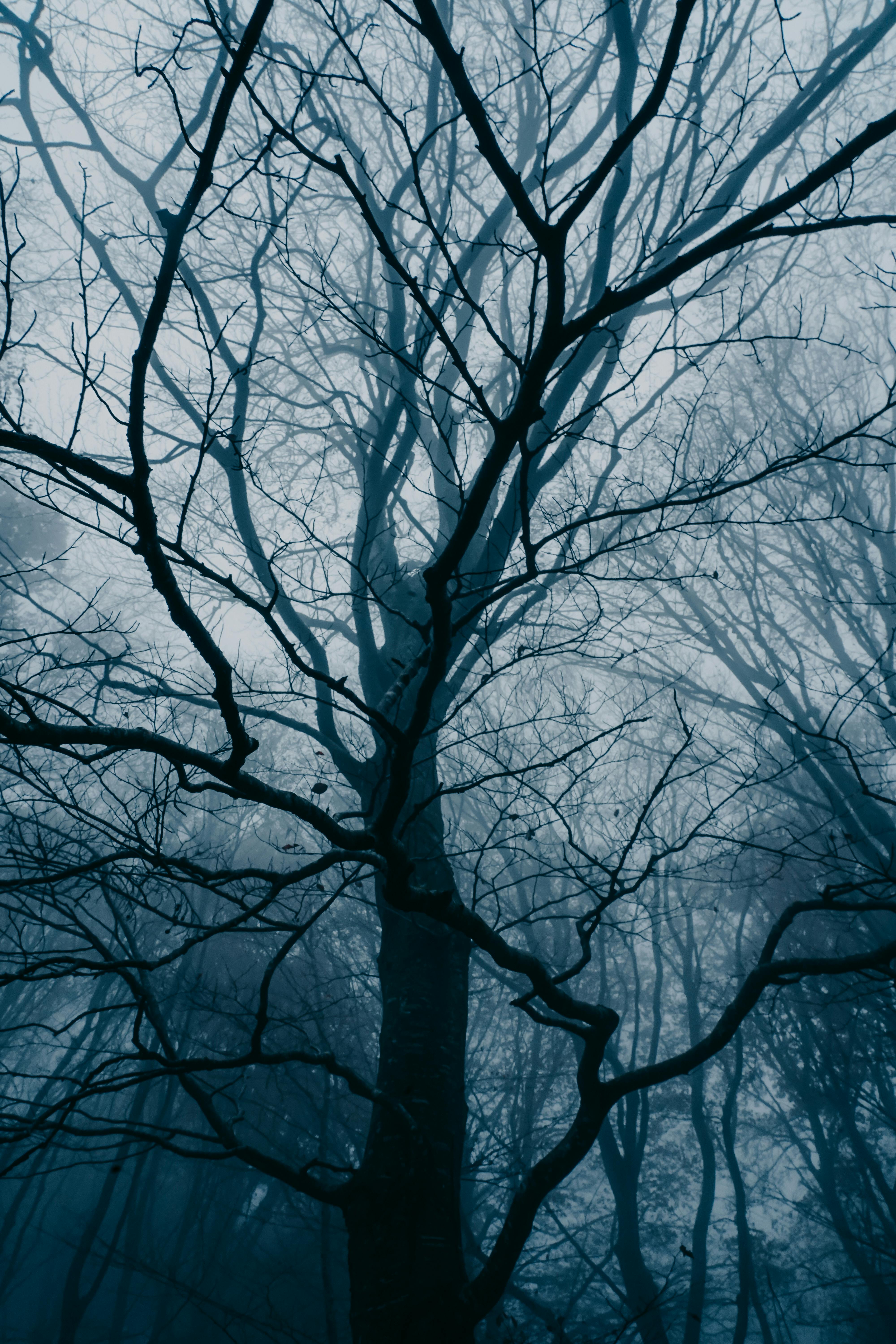 Cyberpunk+Ambient+Loop Photos, Download The BEST Free Cyberpunk+Ambient ...