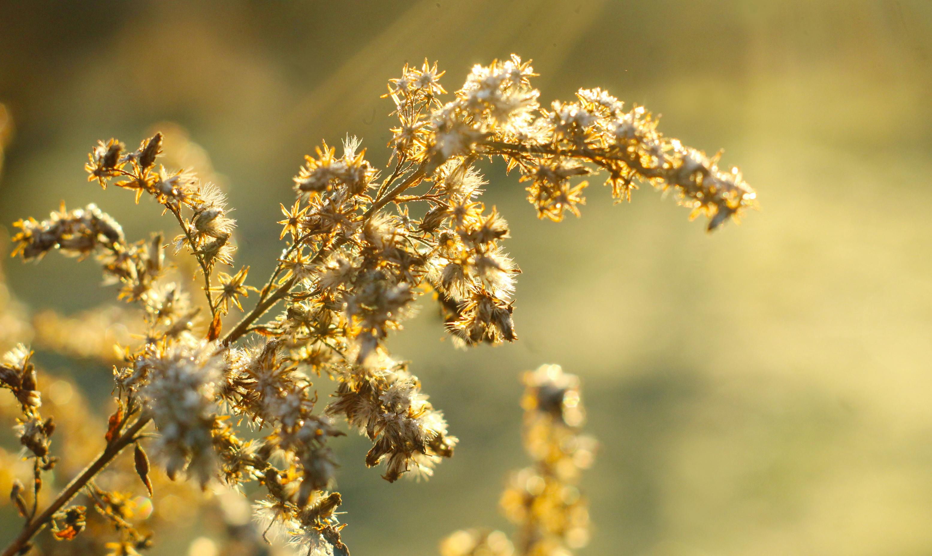 Bokep+Body+Glow+Al Photos, Download The BEST Free Bokep+Body+Glow+Al Stock Photos & HD Images