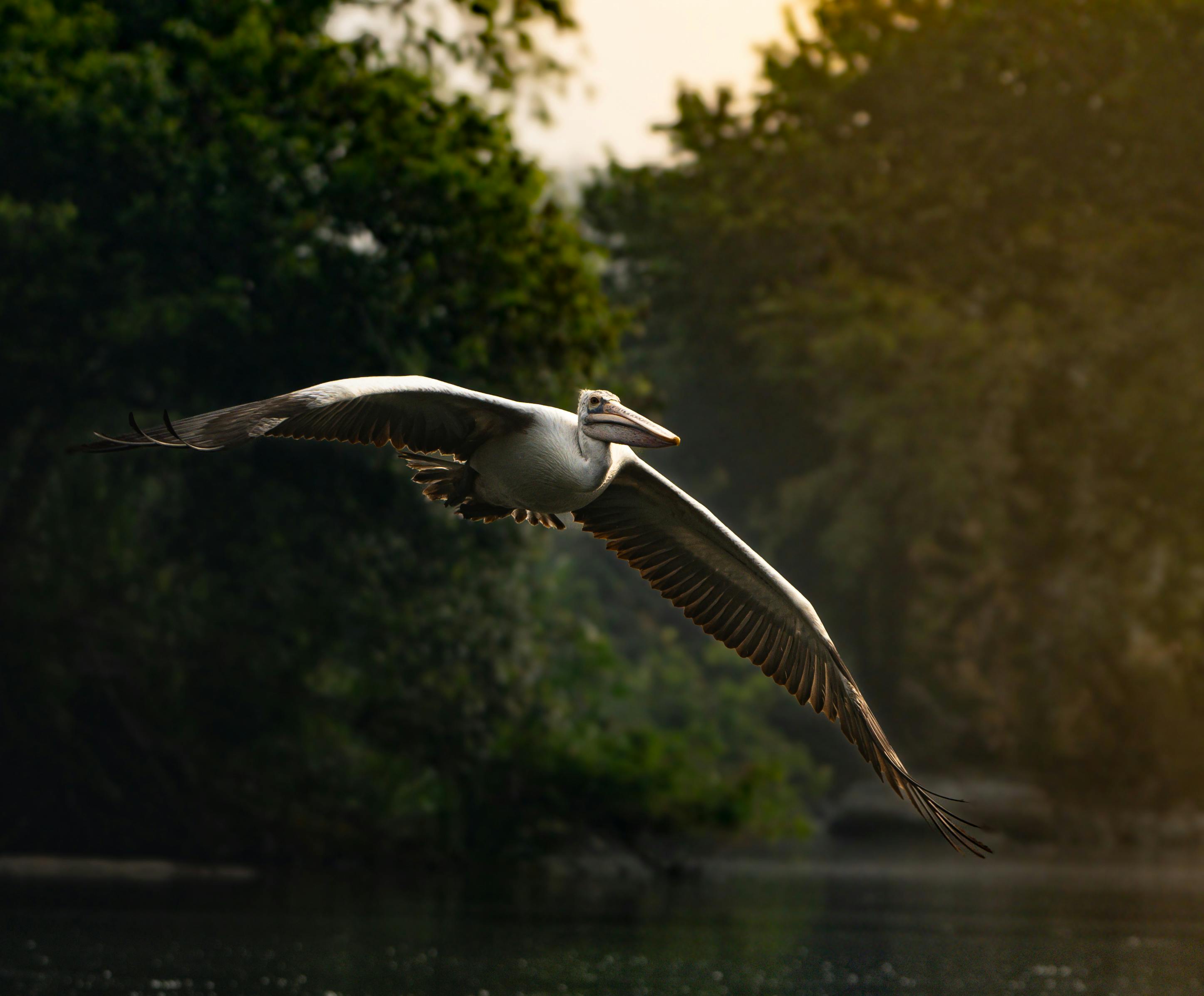 Photography+Cover+Picture Photos, Download The BEST Free Photography ...