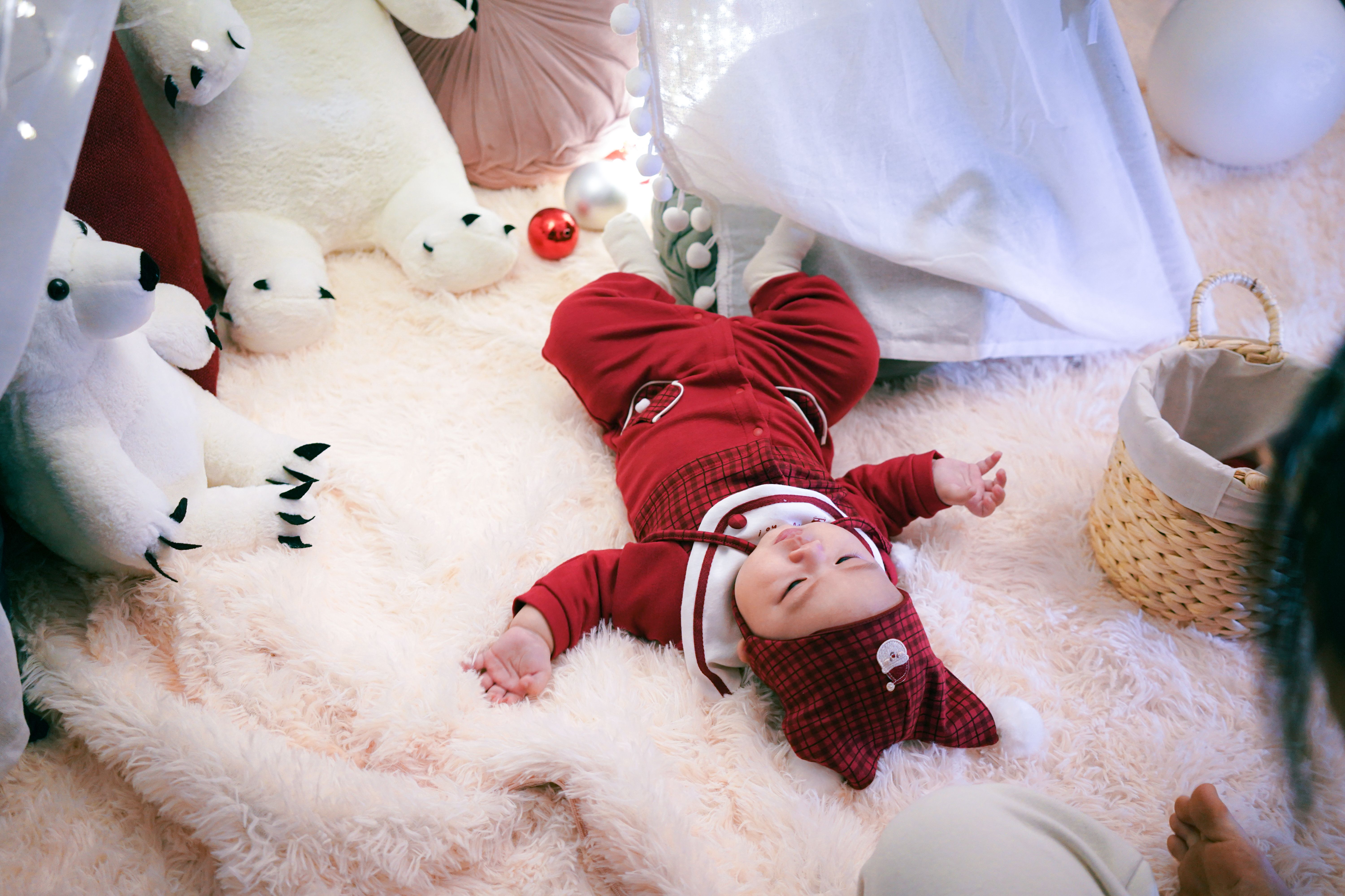 Polar Bear Family Photos, Download The BEST Free Polar Bear Family ...