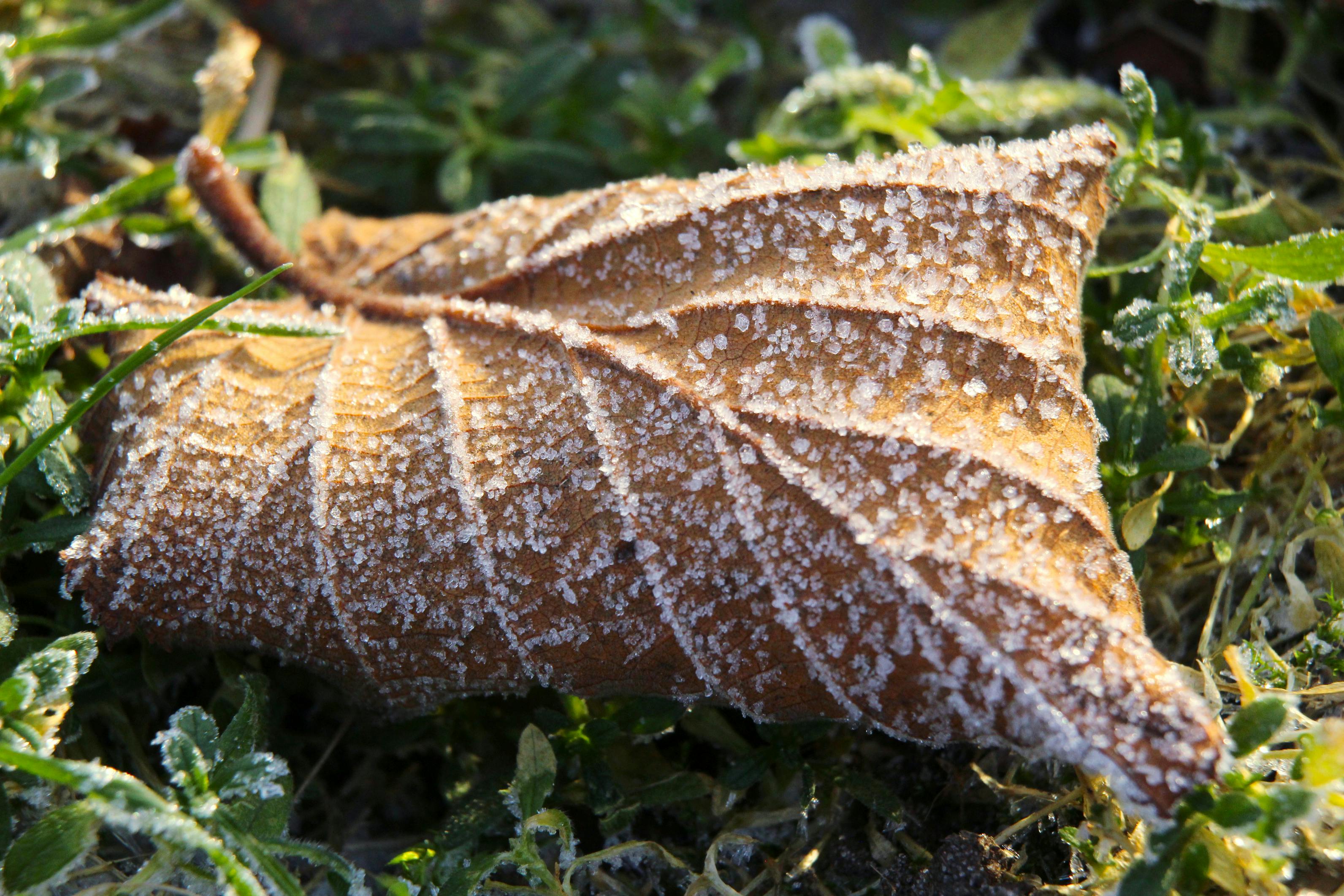 Good Morning Team Images Photos, Download The BEST Free Good Morning ...