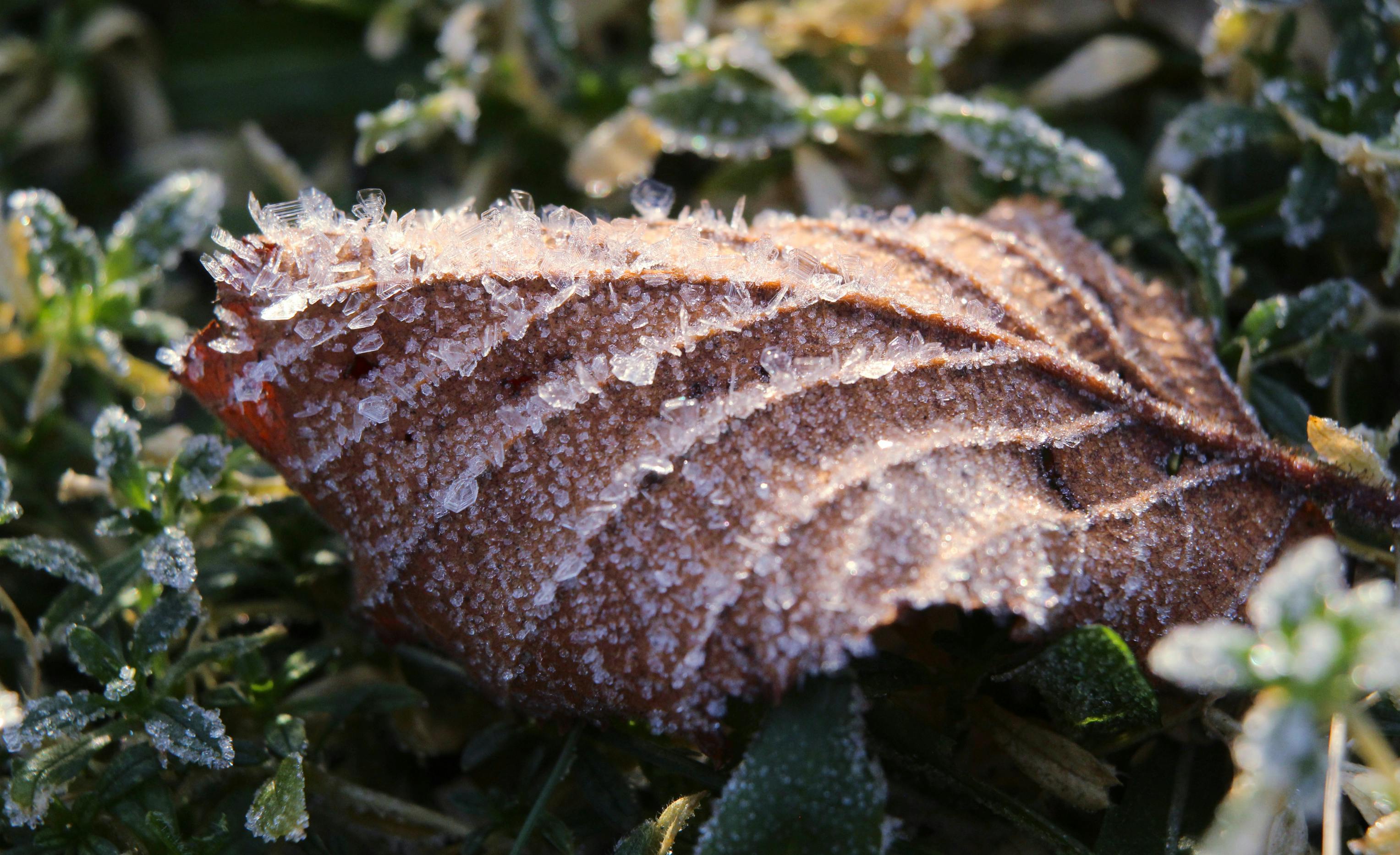 Good Morning Team Images Photos, Download The BEST Free Good Morning ...