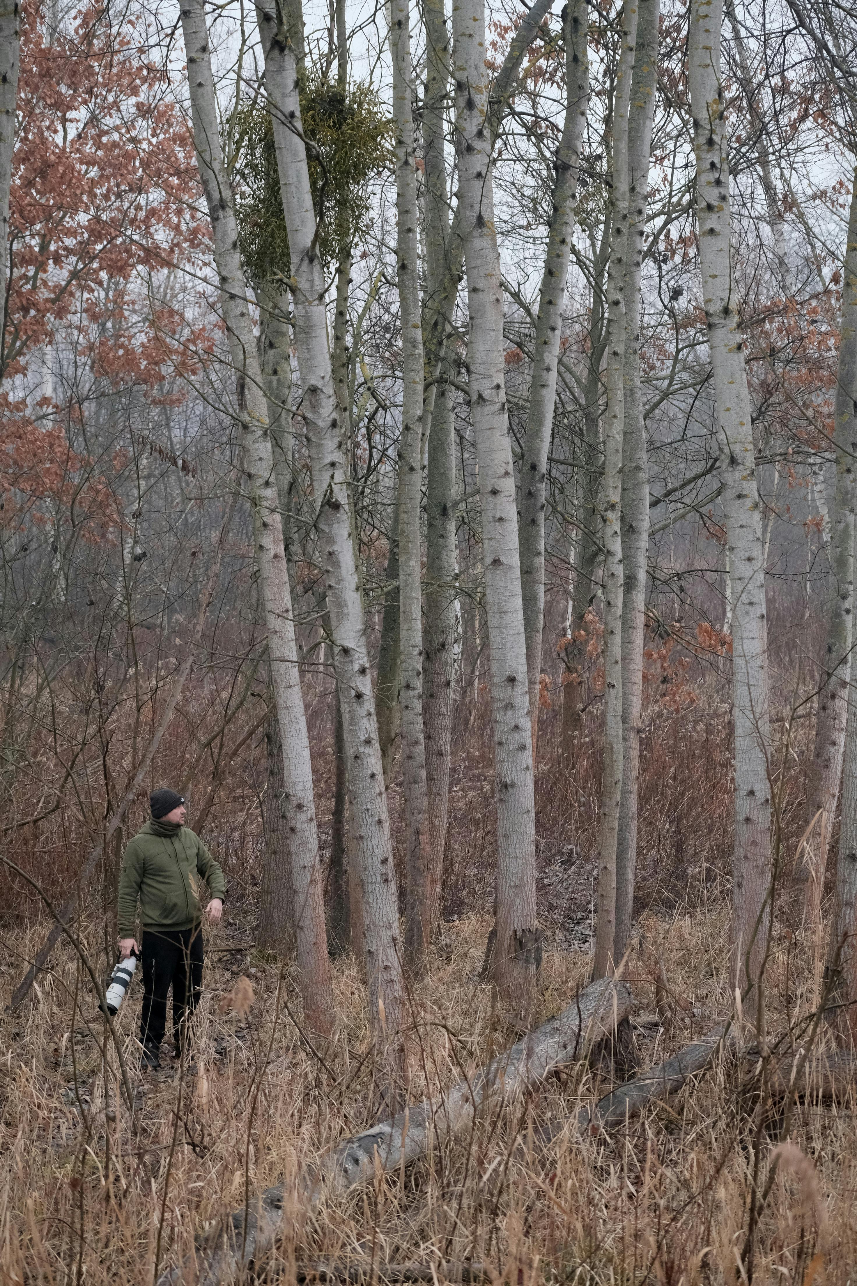 Video+Camera+Chw Photos, Download The BEST Free Video+Camera+Chw Stock ...