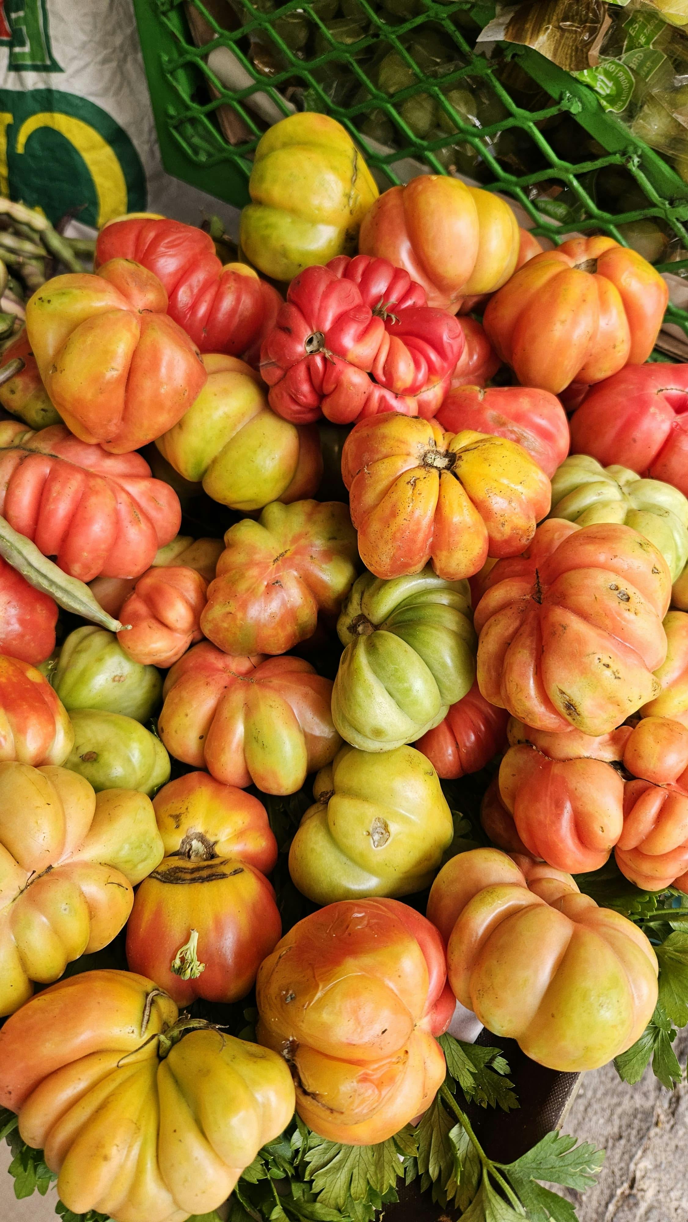 Canning+Horseradish+From+Scratch Photos, Download The BEST Free Canning ...