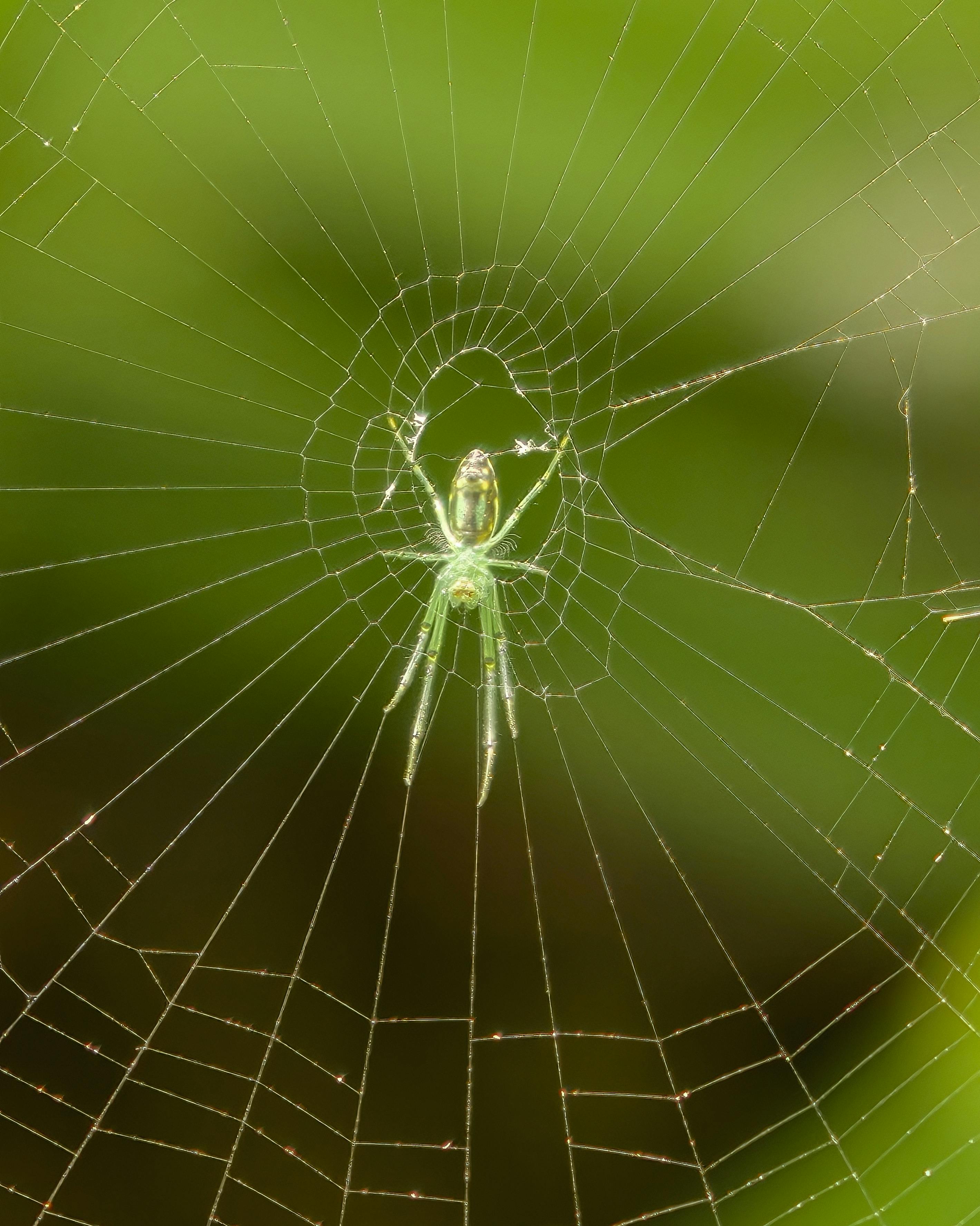 Imagex+Web Photos, Download The BEST Free Imagex+Web Stock Photos & HD ...