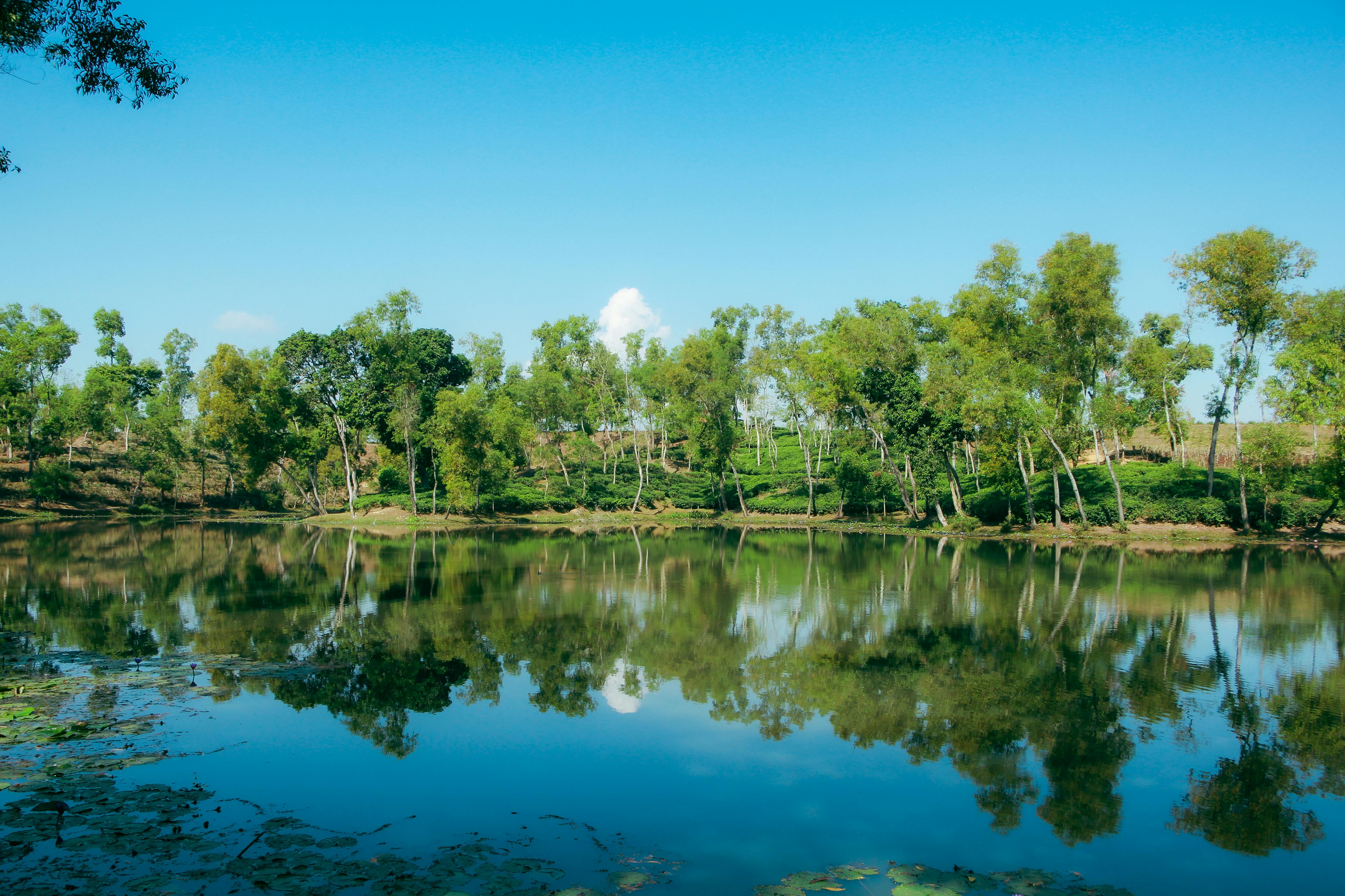 Document+Imager Photos, Download The BEST Free Document+Imager Stock ...