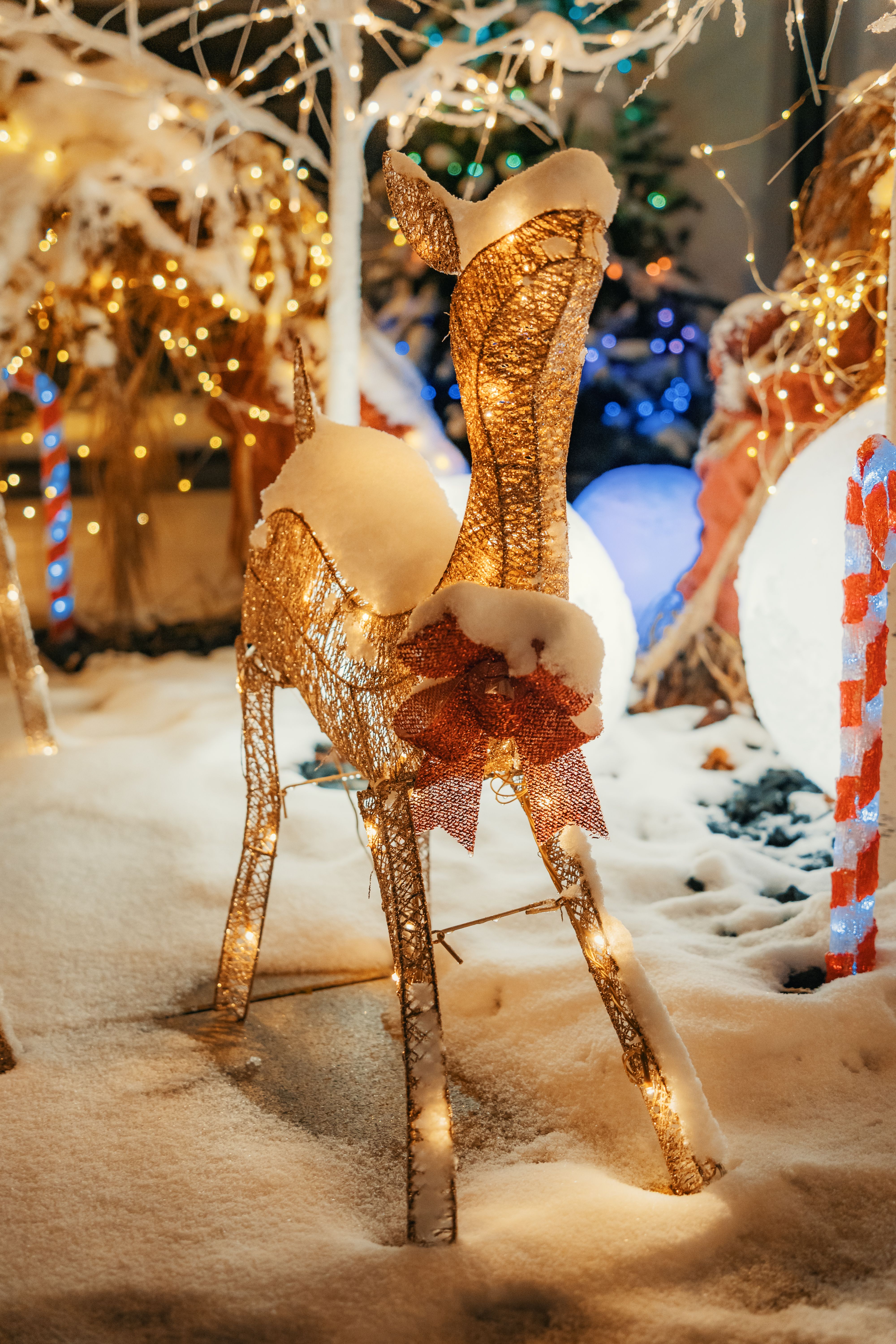 Christmas Snow Scenes Photos, Download The BEST Free Christmas Snow ...
