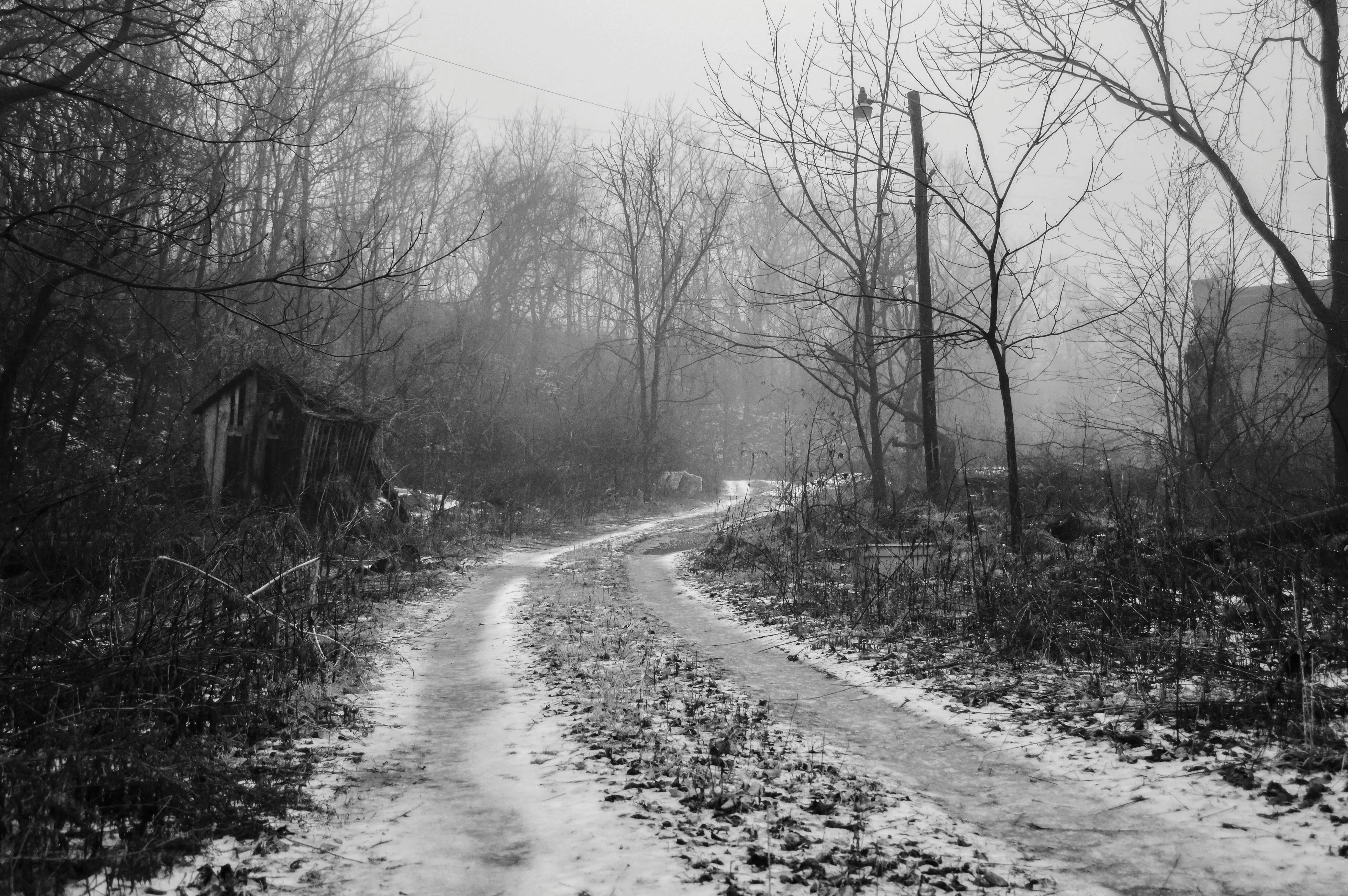 Commercial+Veh Photos, Download The BEST Free Commercial+Veh Stock ...