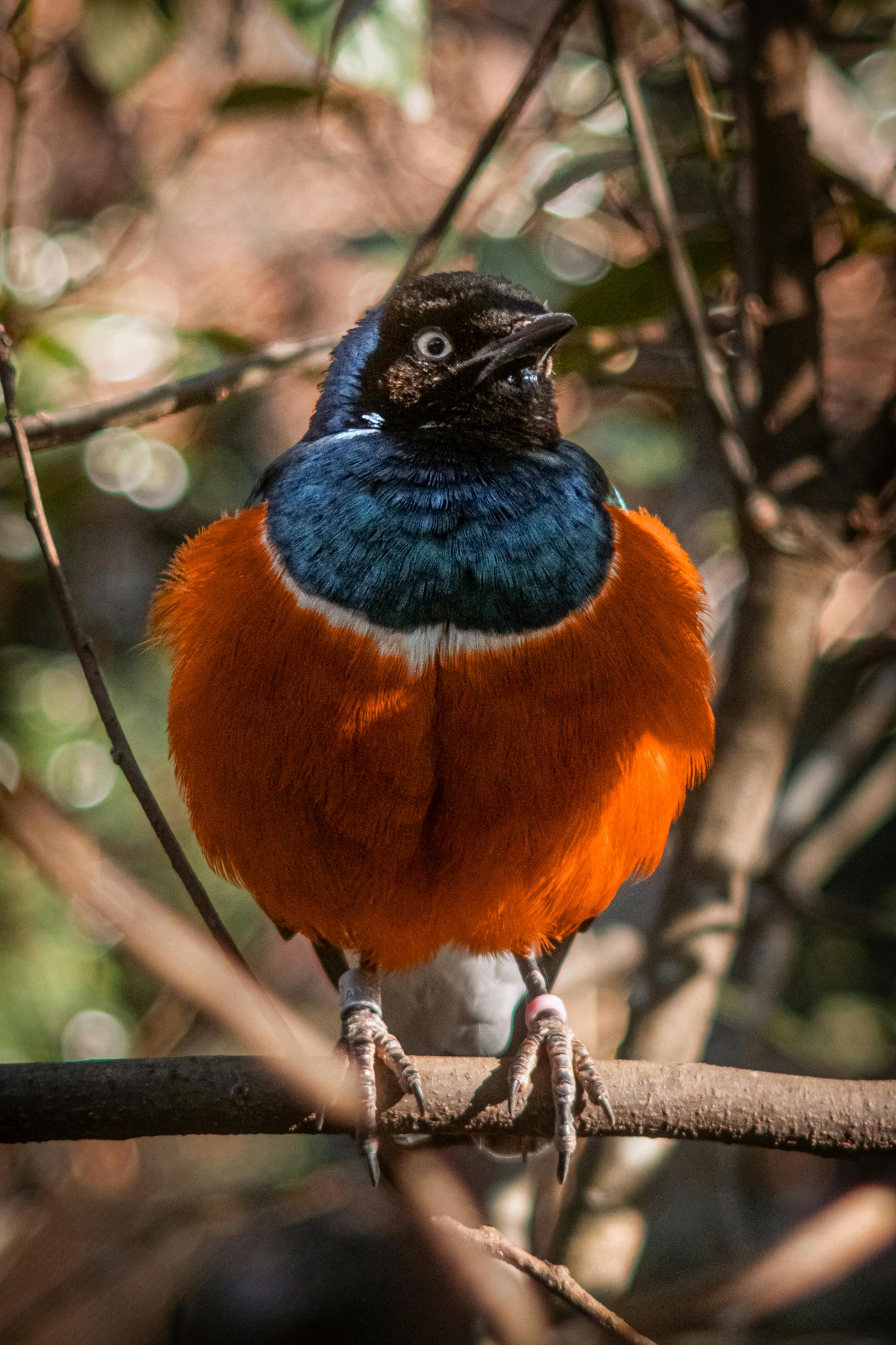 Fastest+Download Photos, Download The BEST Free Fastest+Download Stock ...