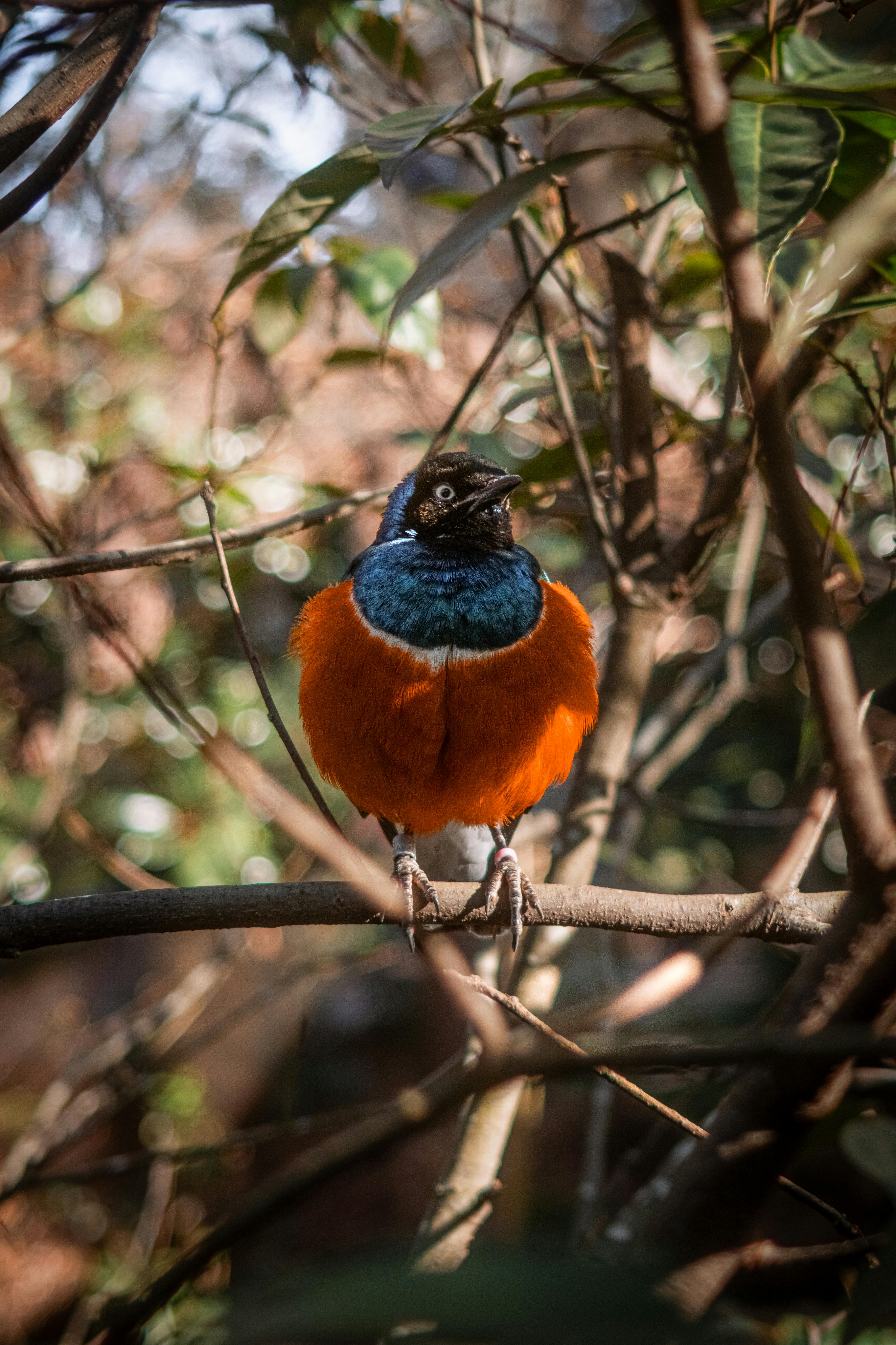 Free+Ig+Shares Photos, Download The BEST Free Free+Ig+Shares Stock ...