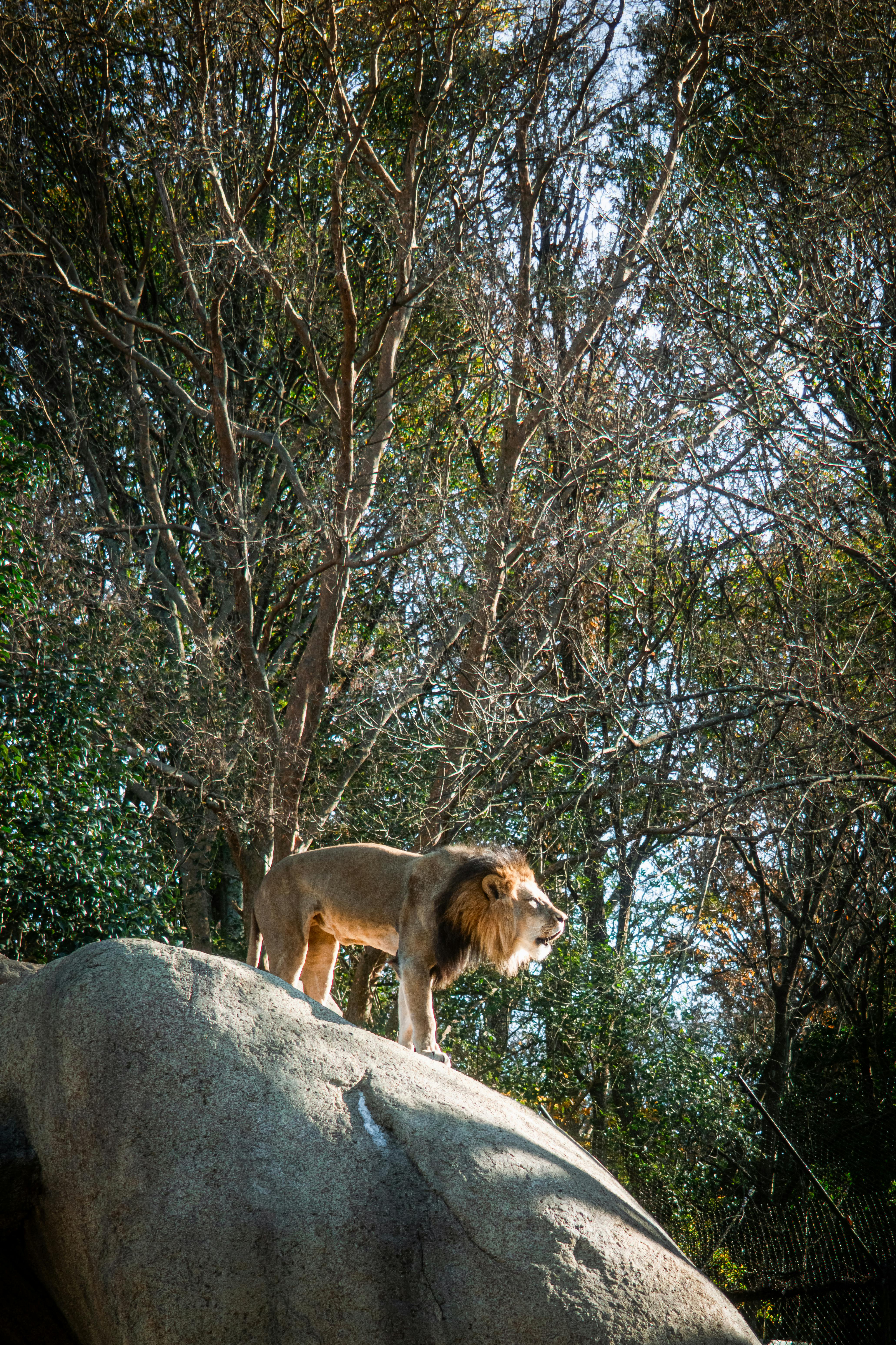 Fastest+Download Photos, Download The BEST Free Fastest+Download Stock ...