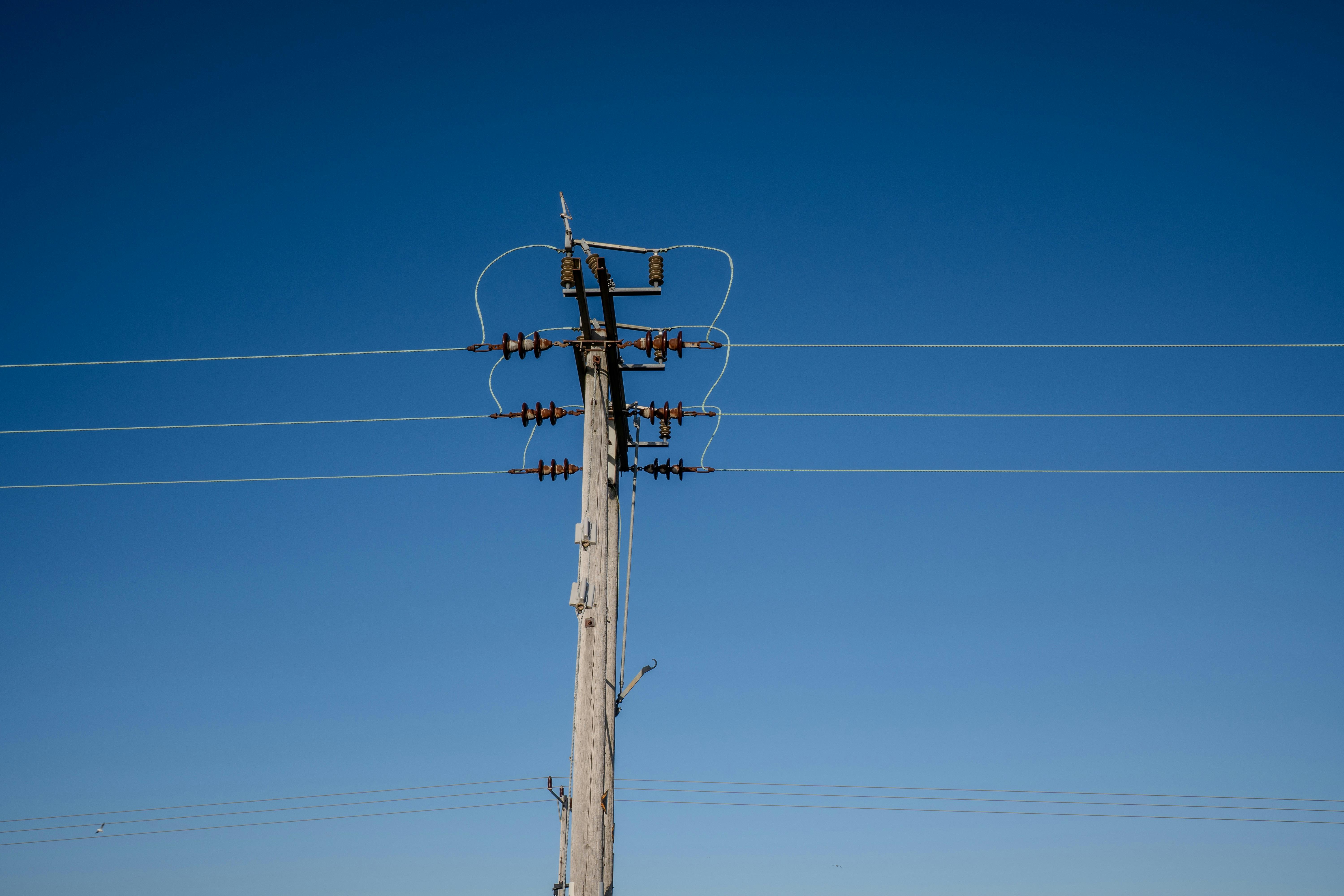 Fal.AI+Support Photos, Download The BEST Free Fal.AI+Support Stock ...