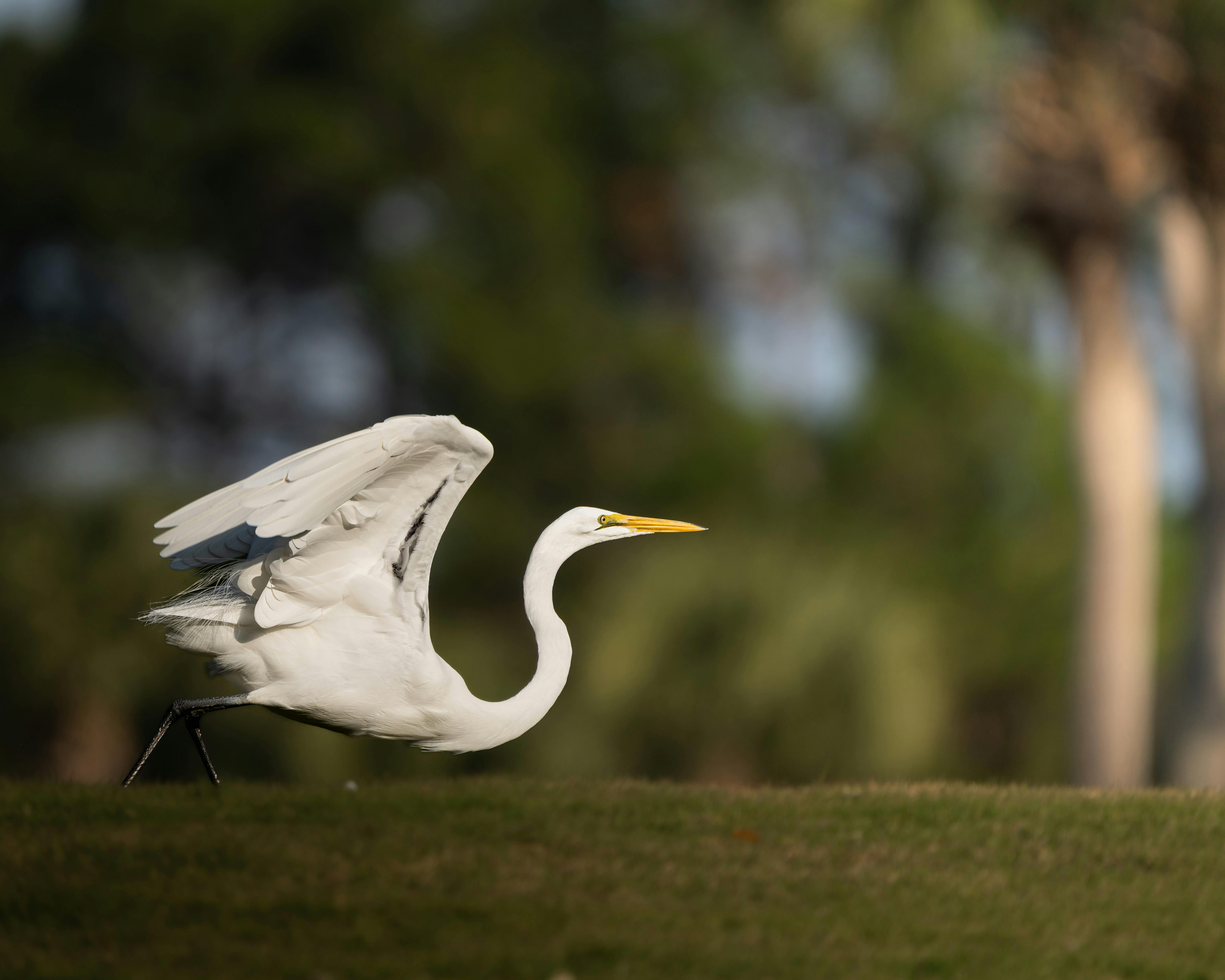 Behavior Photos, Download The BEST Free Behavior Stock Photos & HD Images