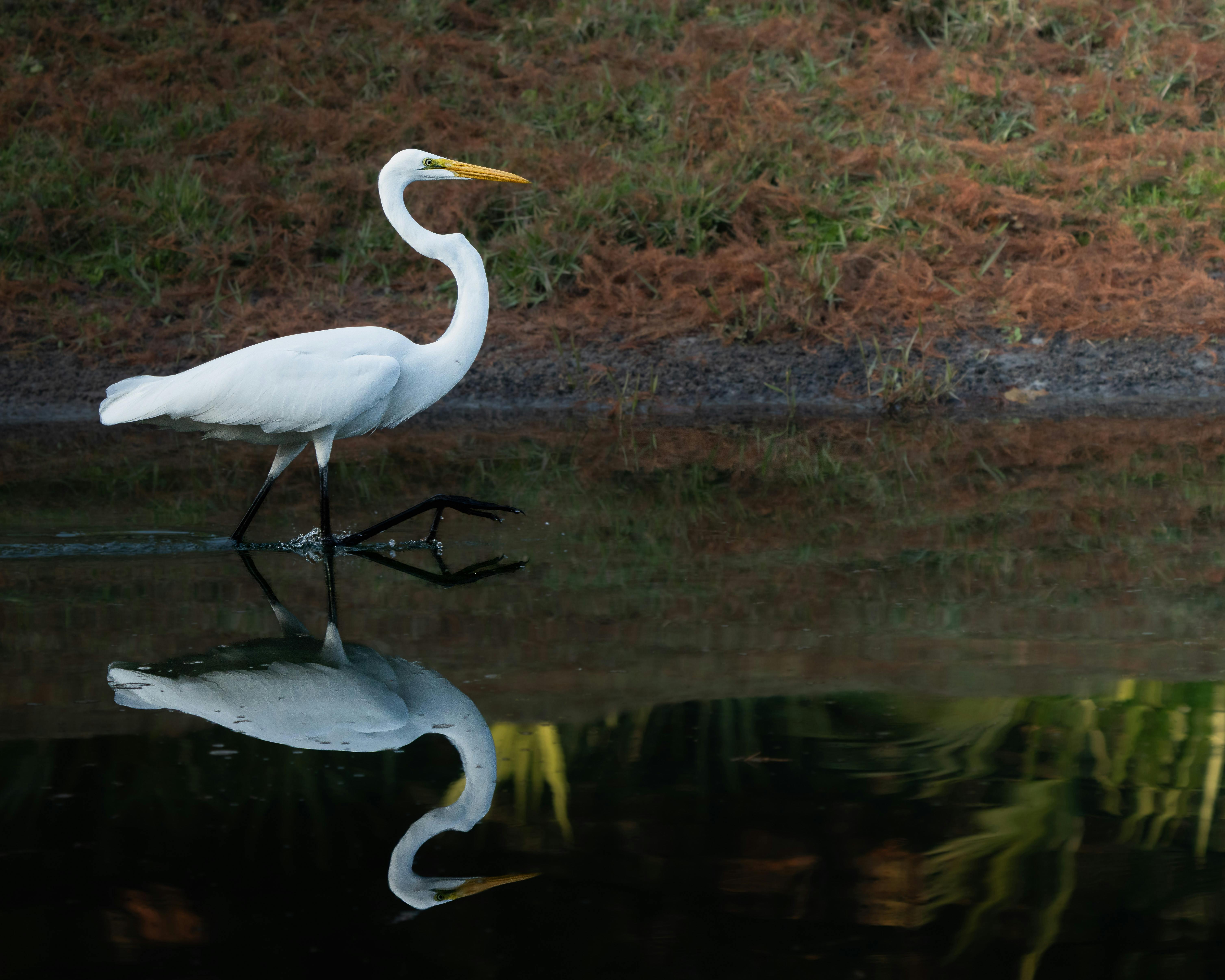 Cyberpunk+Ambient+Loop Photos, Download The BEST Free Cyberpunk+Ambient ...