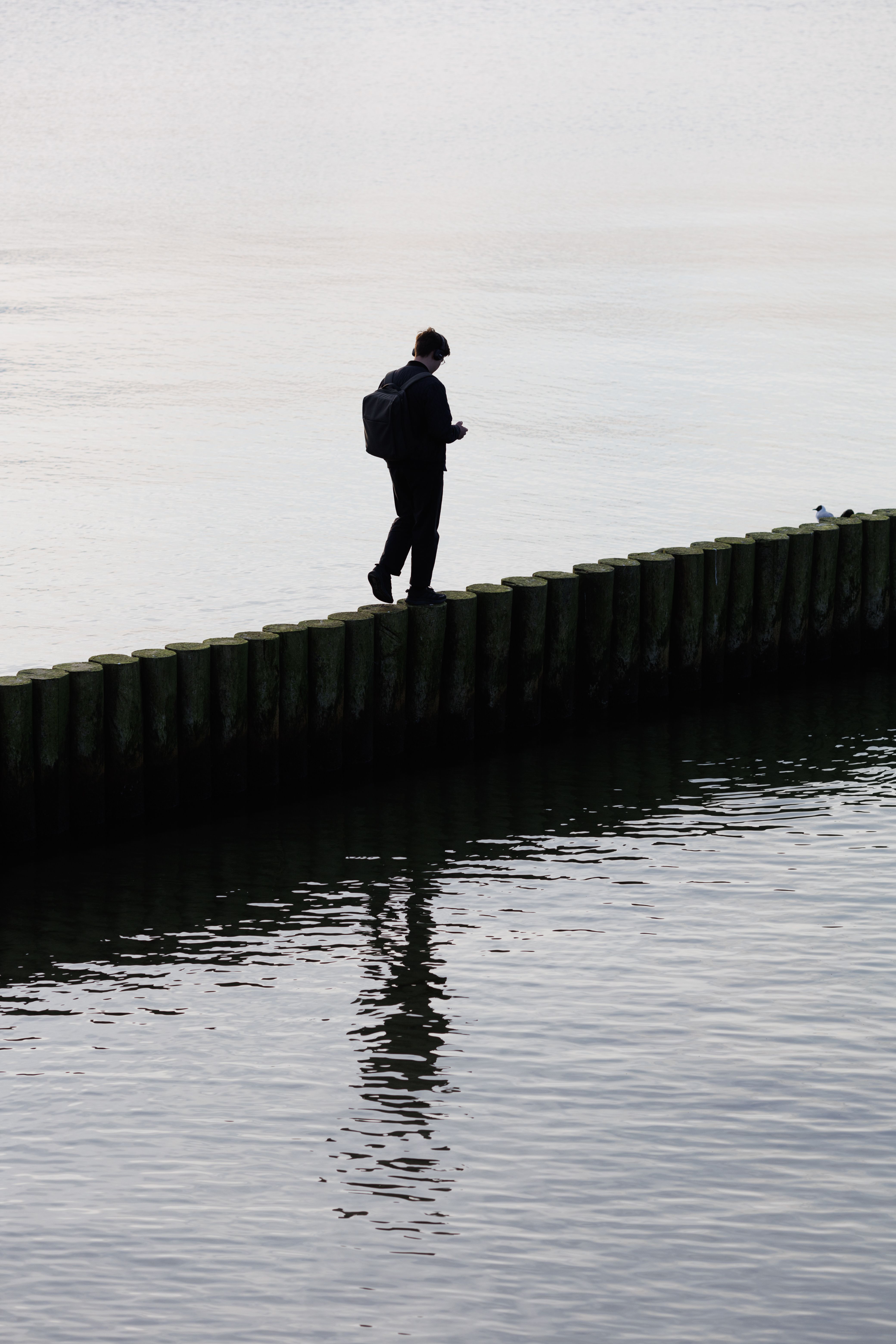 Silhouette of Man Walking on Waterfront Barrier · Free Stock Photo
