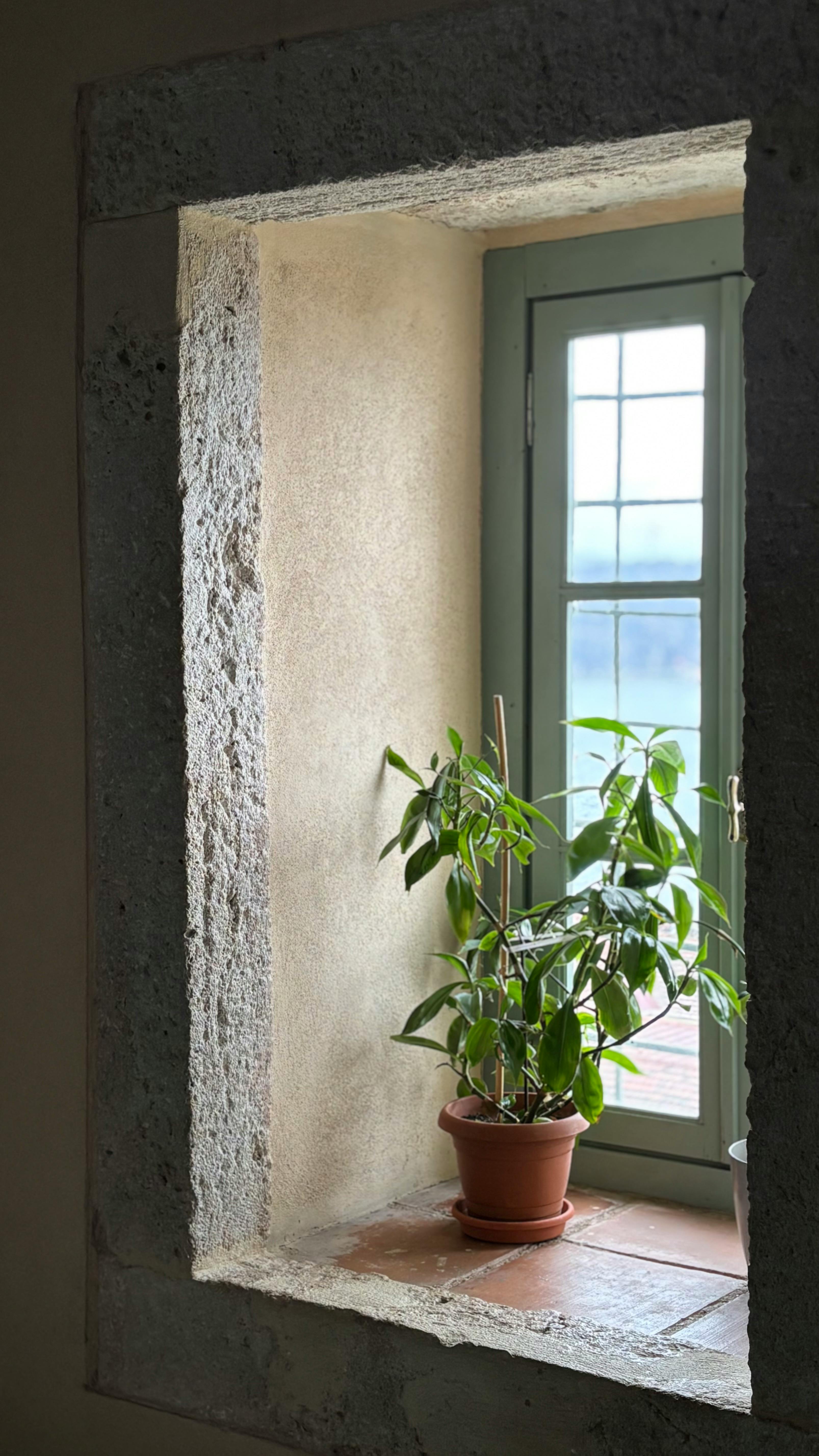 46.389+ Fotos y Imágenes de Frames+chicken Gratis · Banco de Fotos Gratis